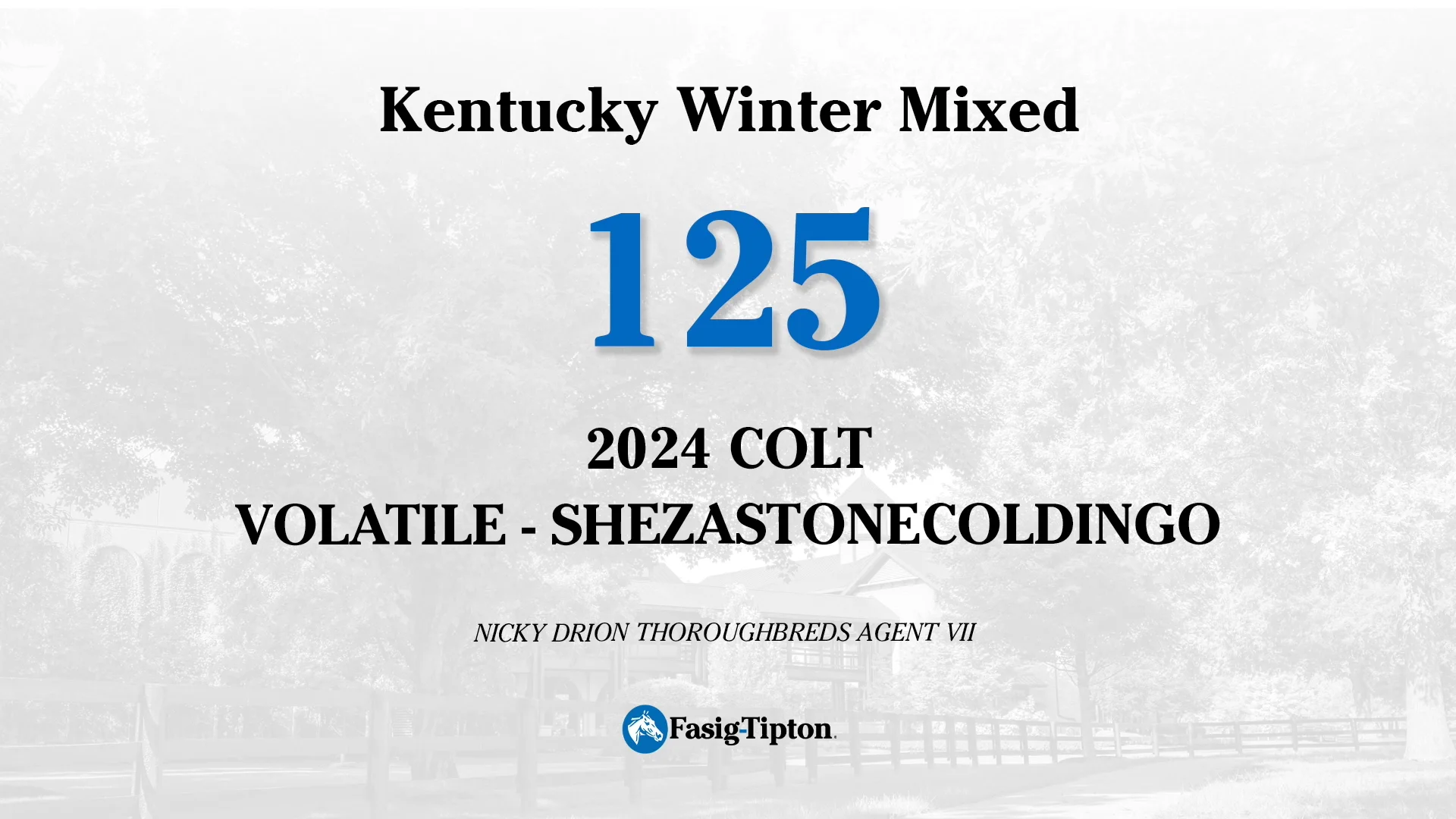 FTKWM25, Hip 125, c. Volatile-Shesastonecoldingo 24