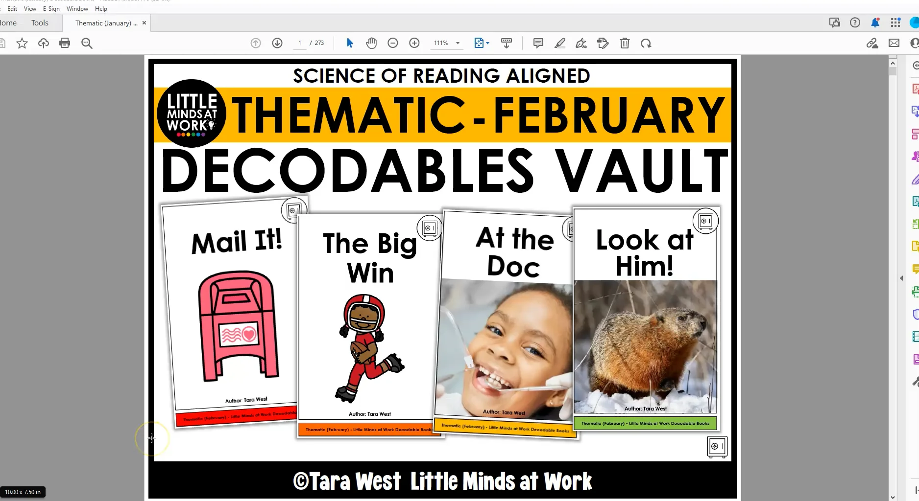 Decodables Vault - February Thematic Books