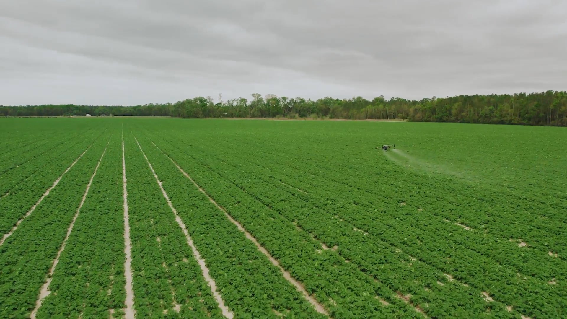 Top Crop Spray Drones