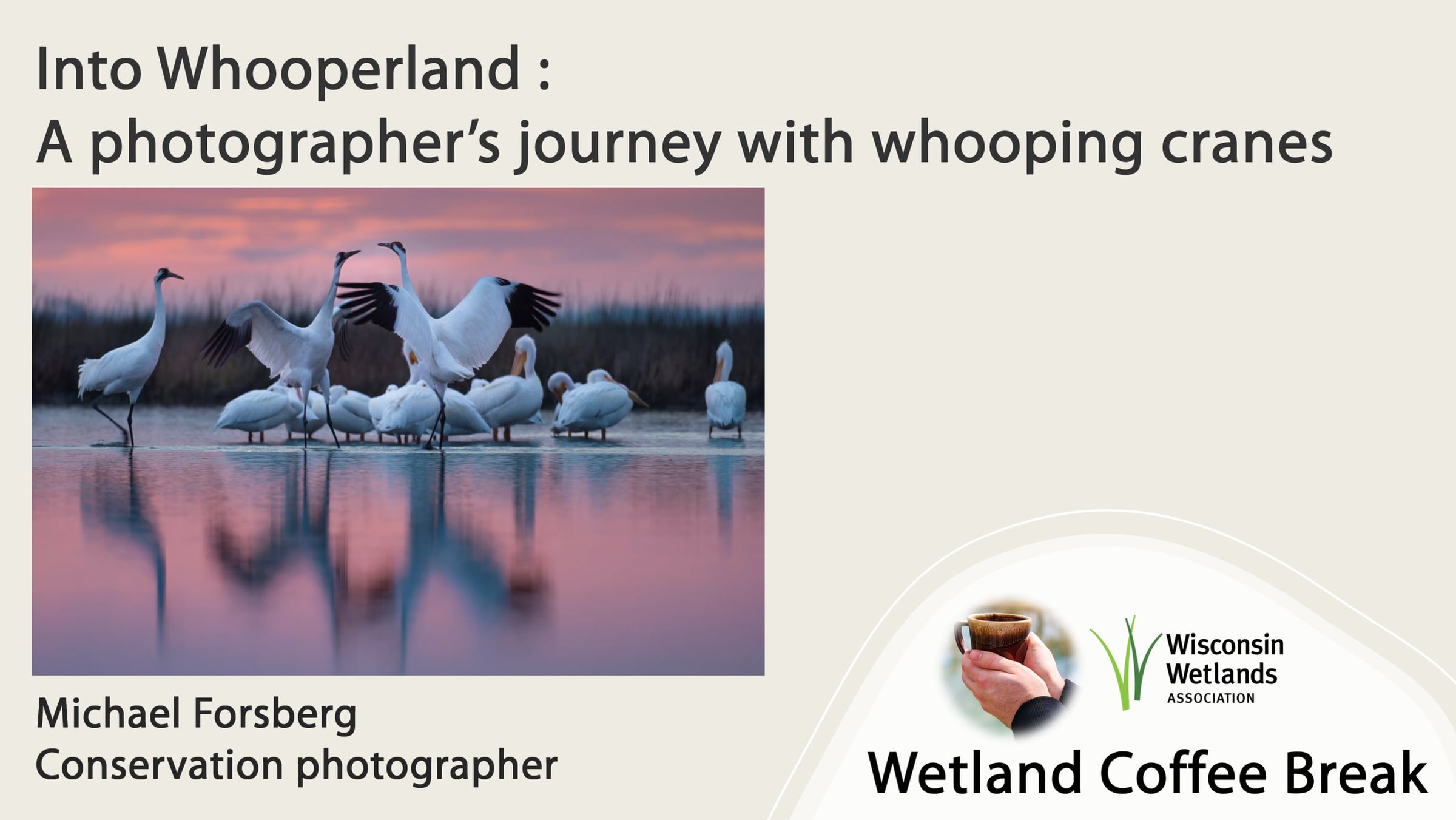 Into Whooperland: A photographer’s journey with whooping cranes