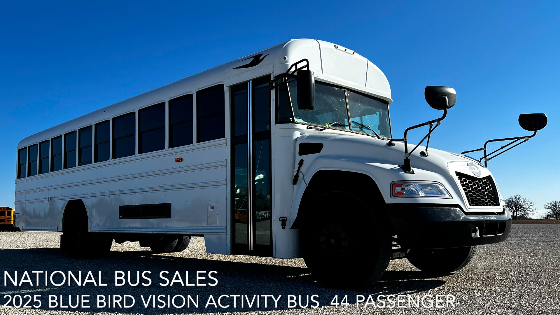 2025 Blue Bird Vision Activity Bus, 44 Passenger - National Bus Sales ...