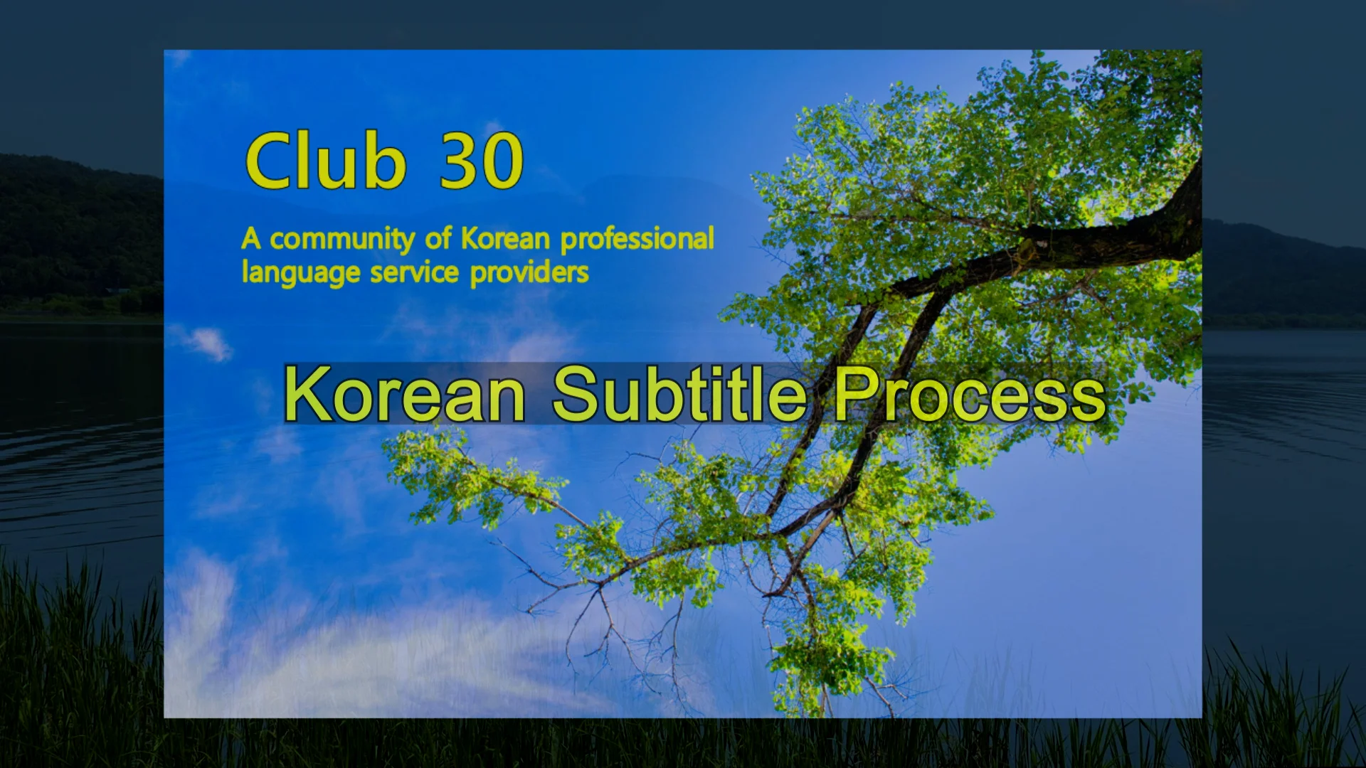 Korean Subtitle Process