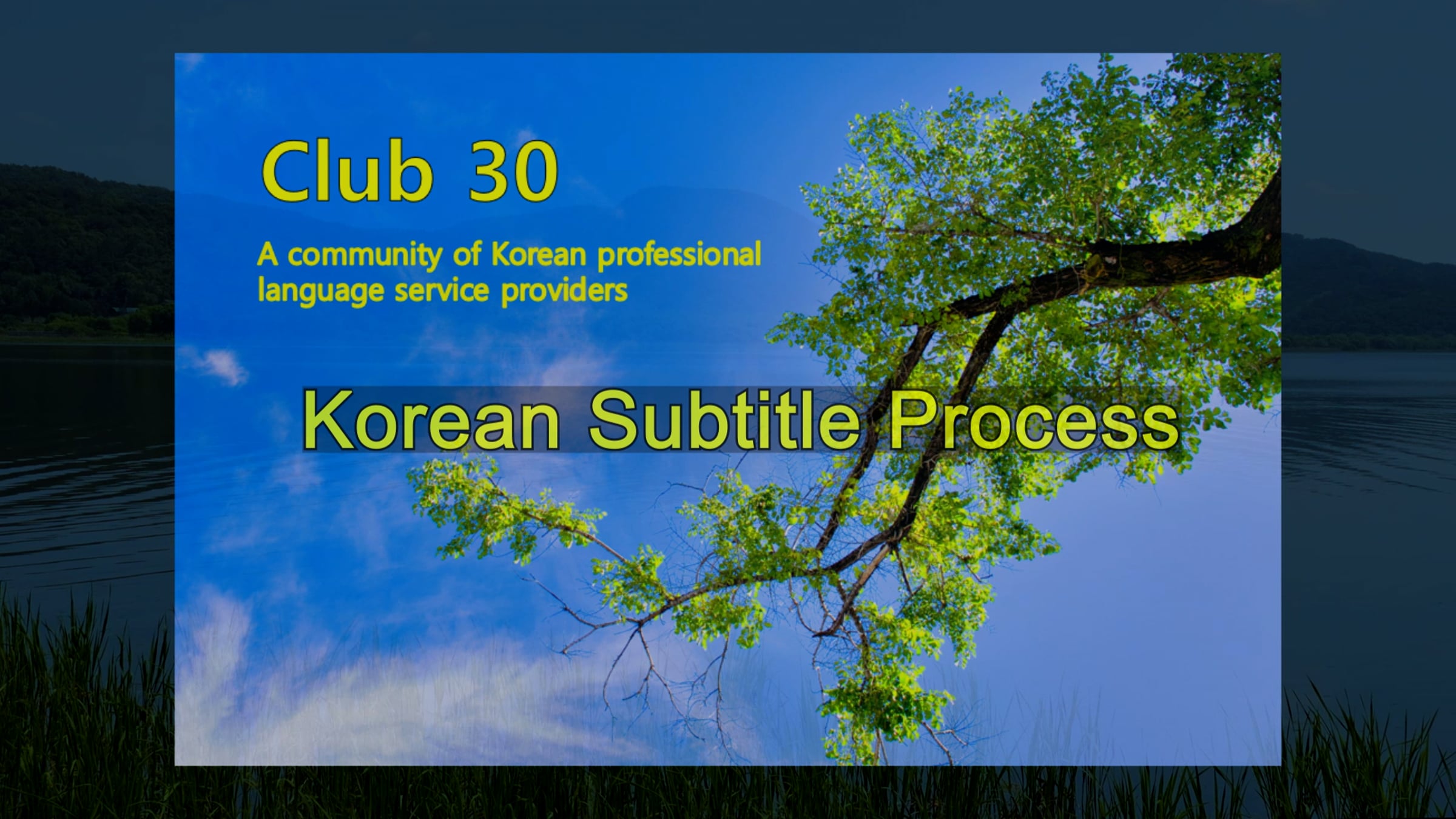 Korean Subtitle Process