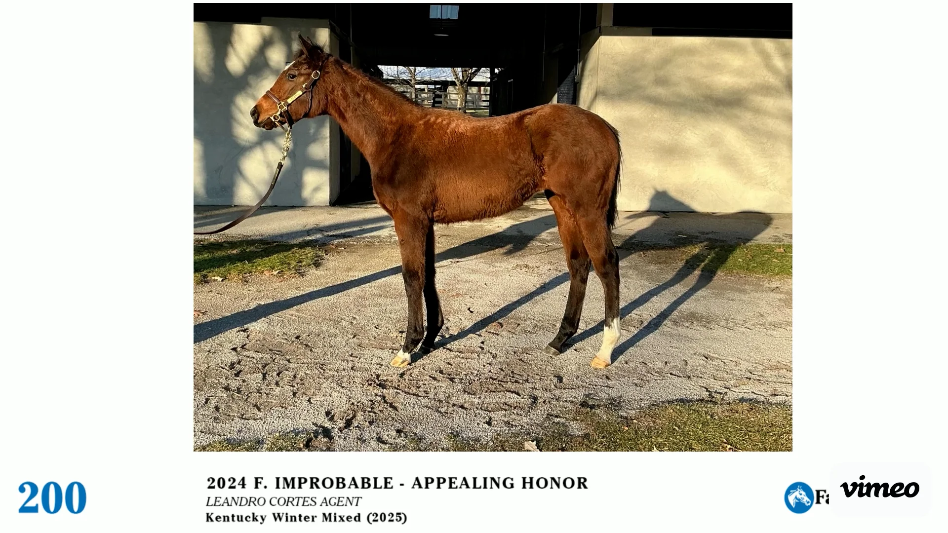 Hip 200 walking video