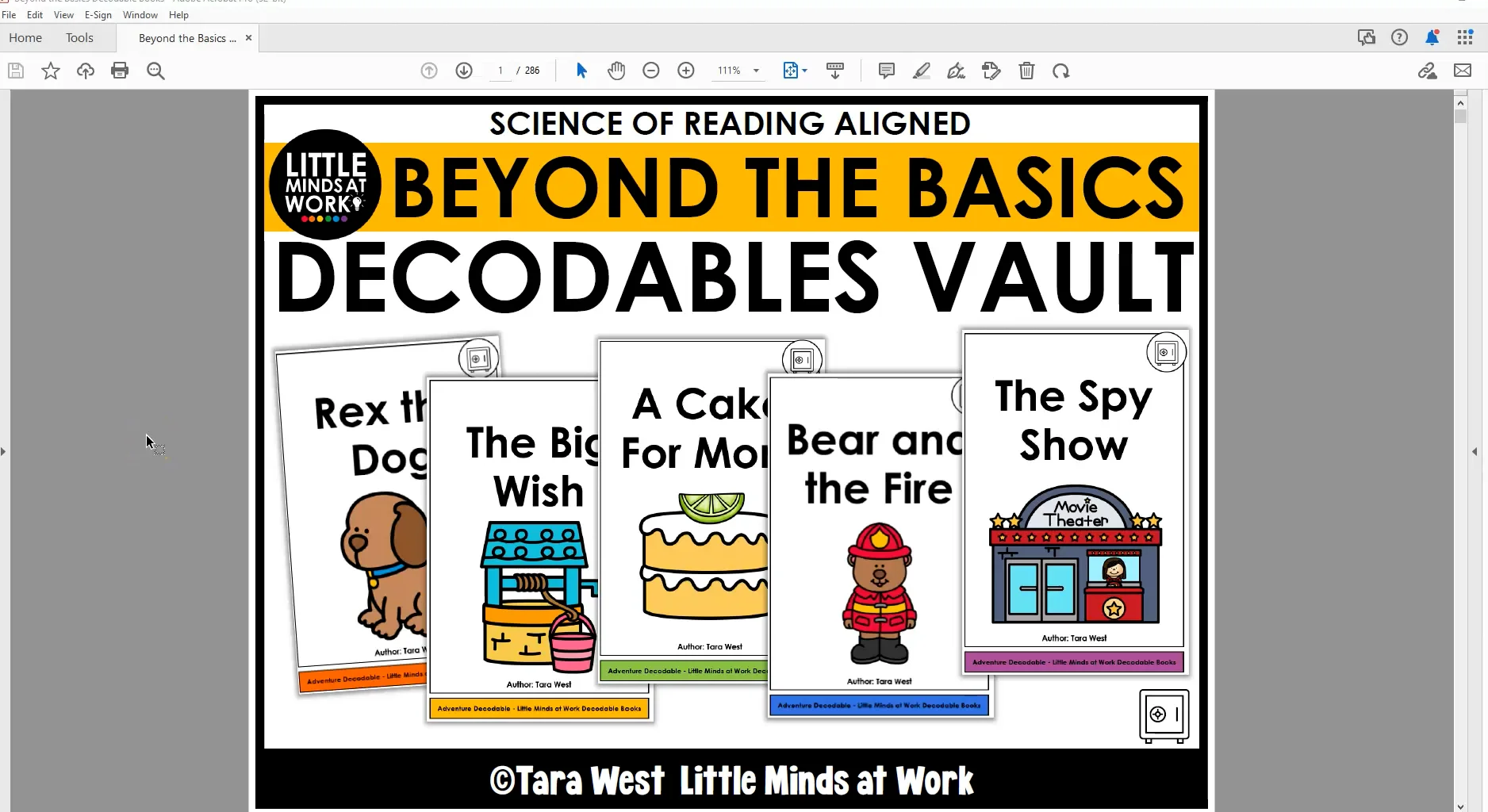 Beyond the Basics Decodable Books