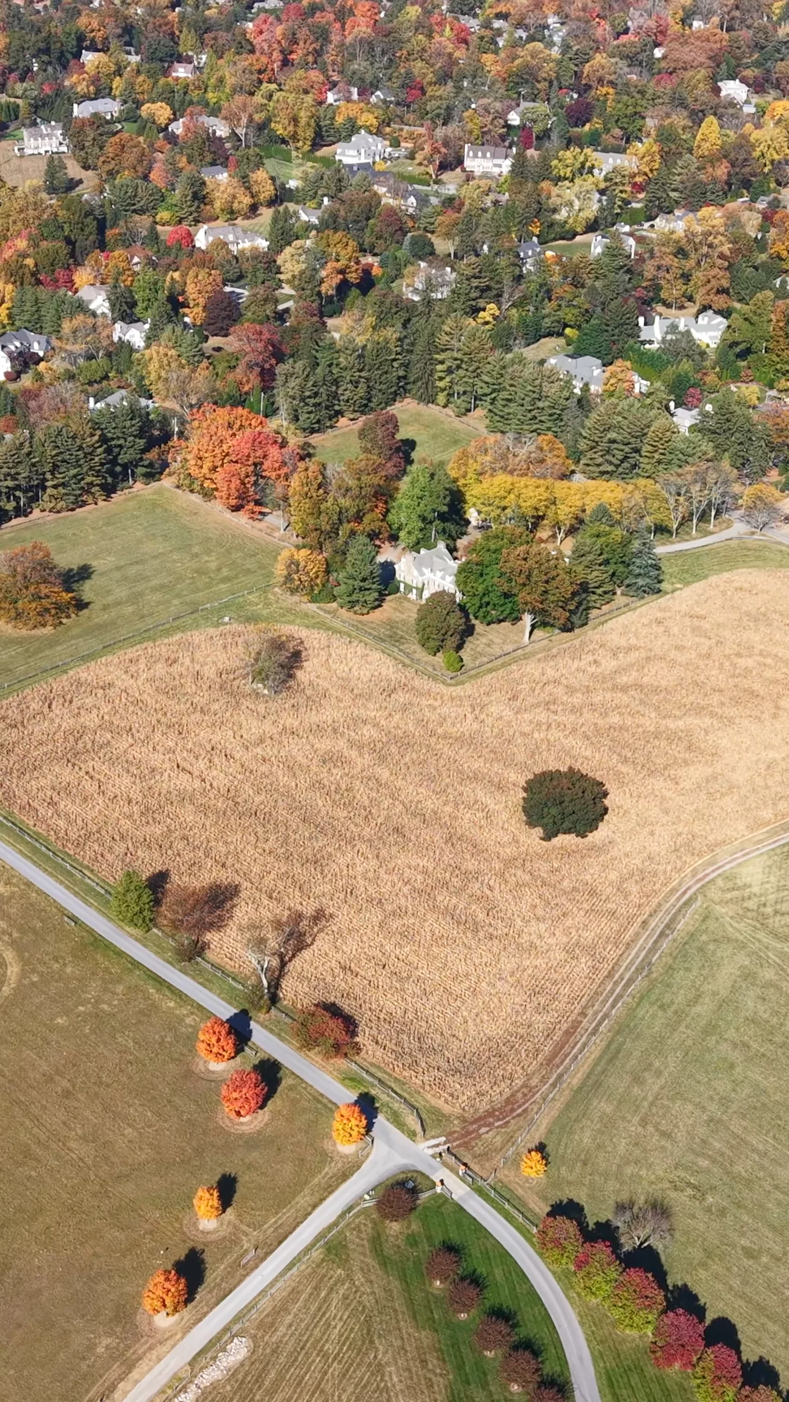 705 Church Road - reel