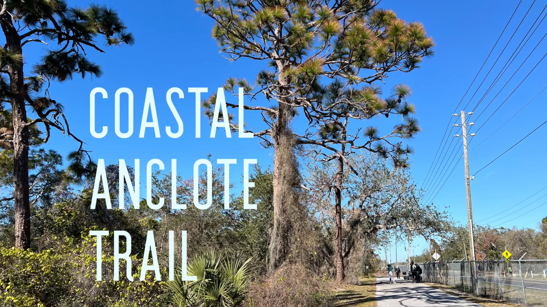 Coastal Anclote Trail