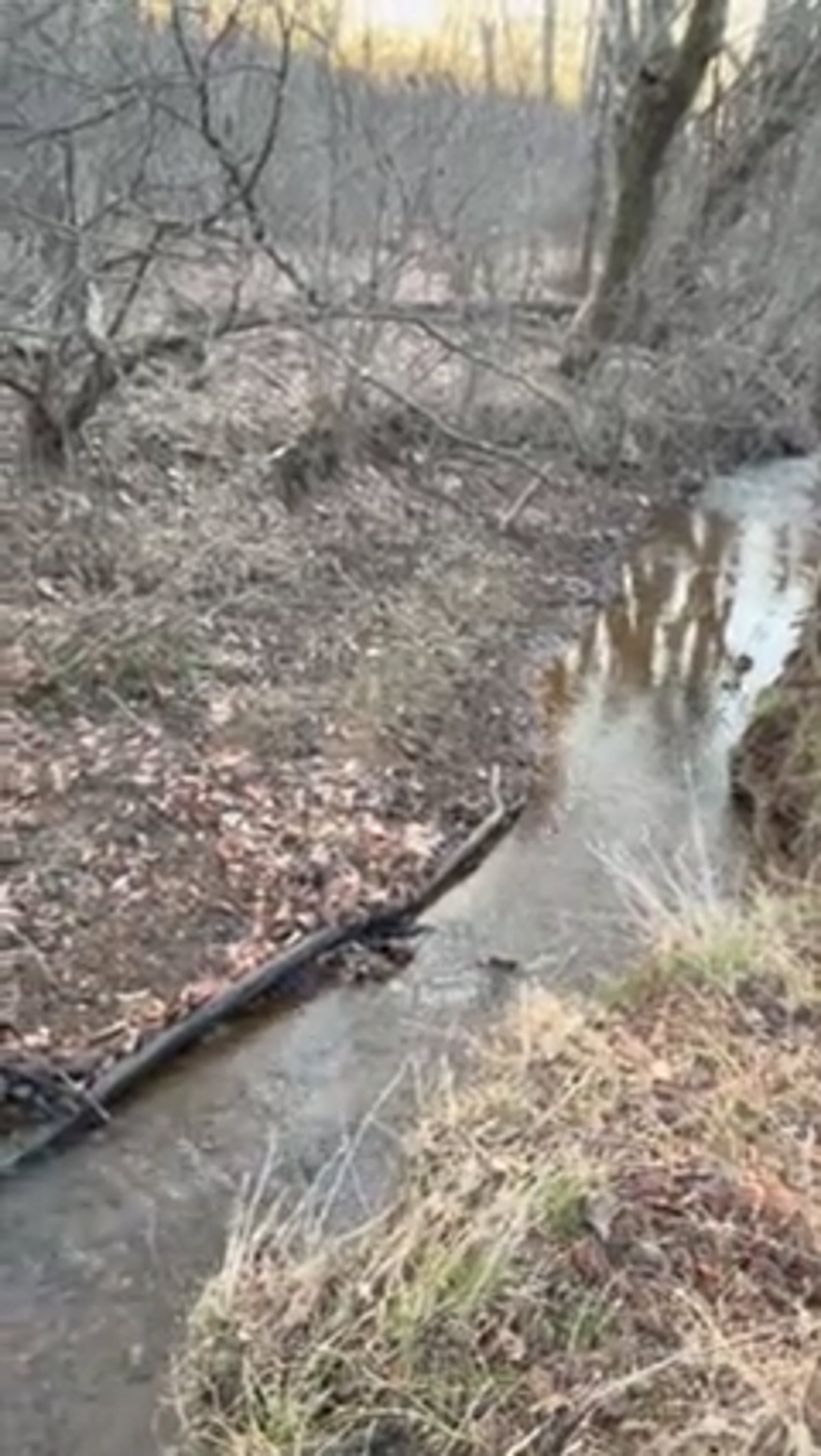 Tuesday, February 4 2025 - Morning Devotion with Pastor Chip