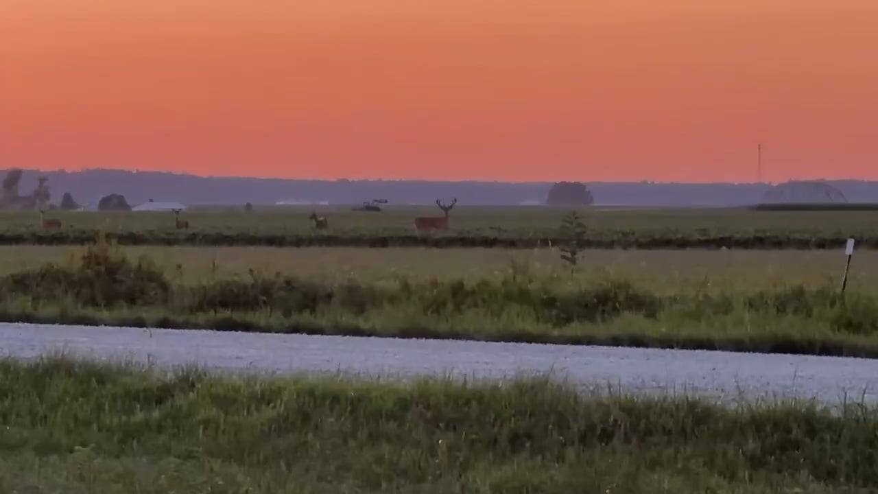 About | Hunting Mega Bucks