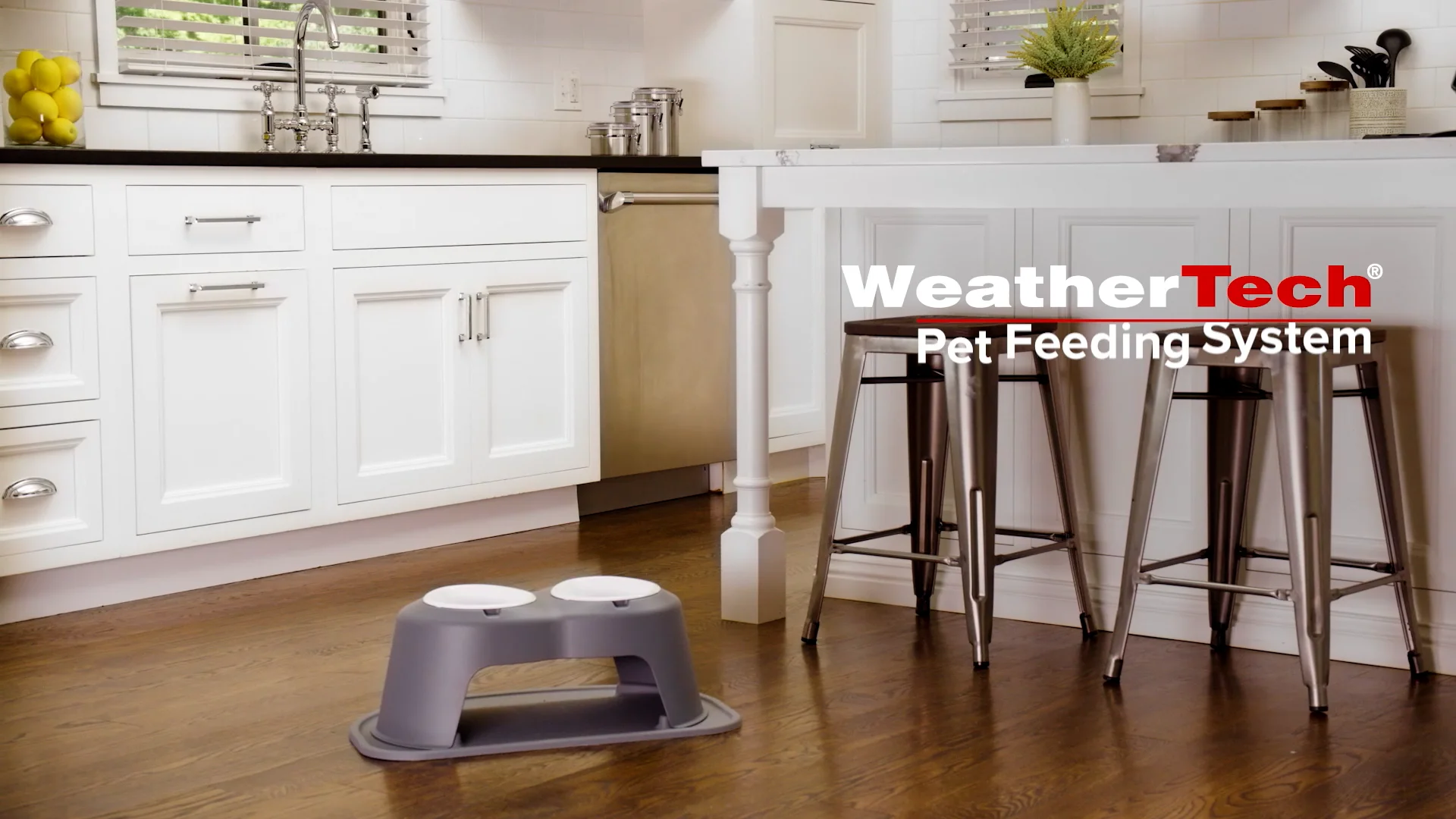 WeatherTech Pet Feeding Ad NZ-1