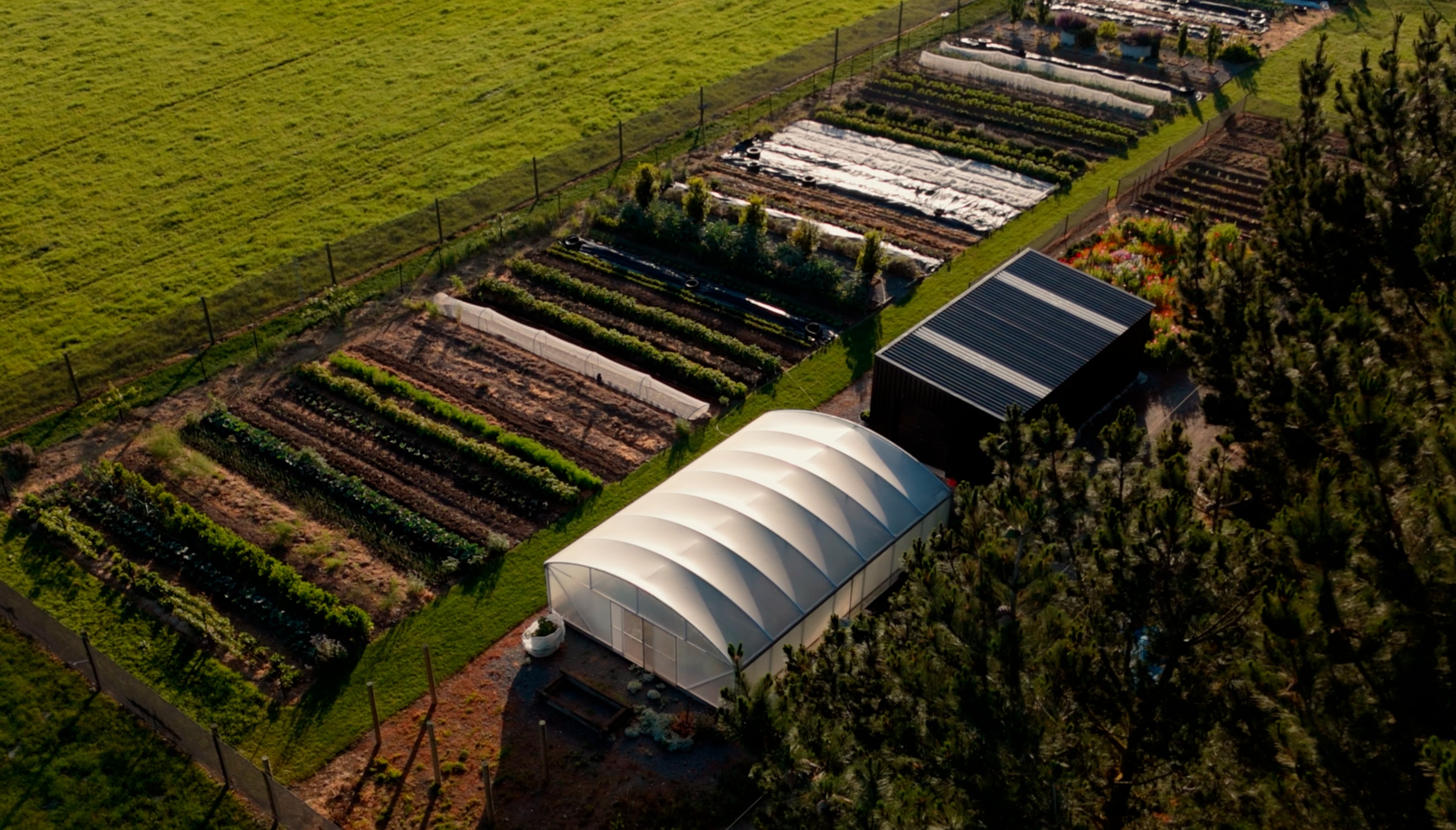 Align Farms - Dirty Fork & Re.