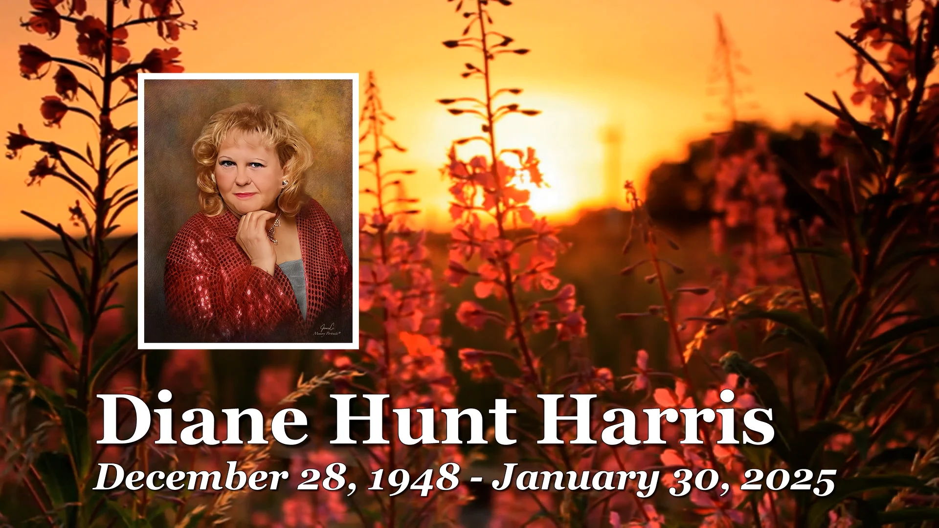 Diane Hunt Harris - Morgan & Nay Diane Harris on Vimeo