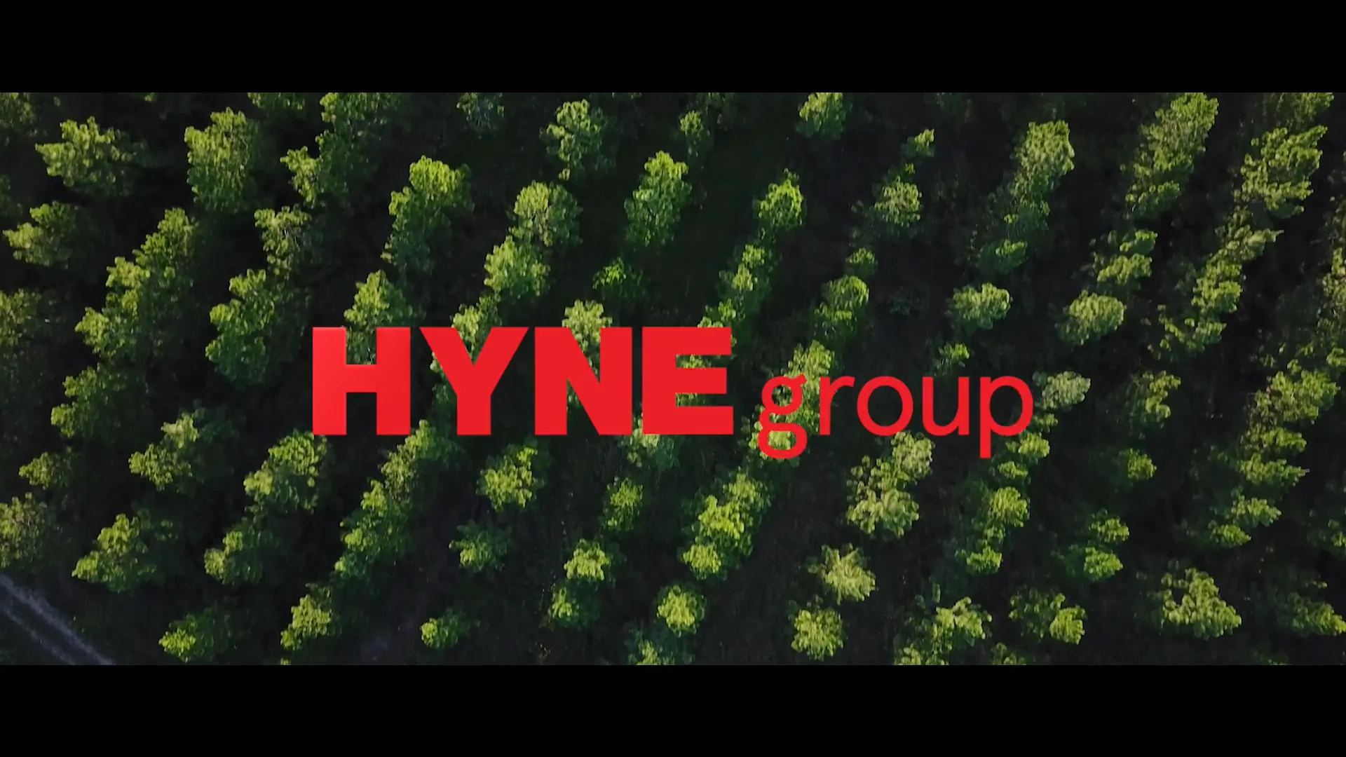 Introduction to the Hyne Group
