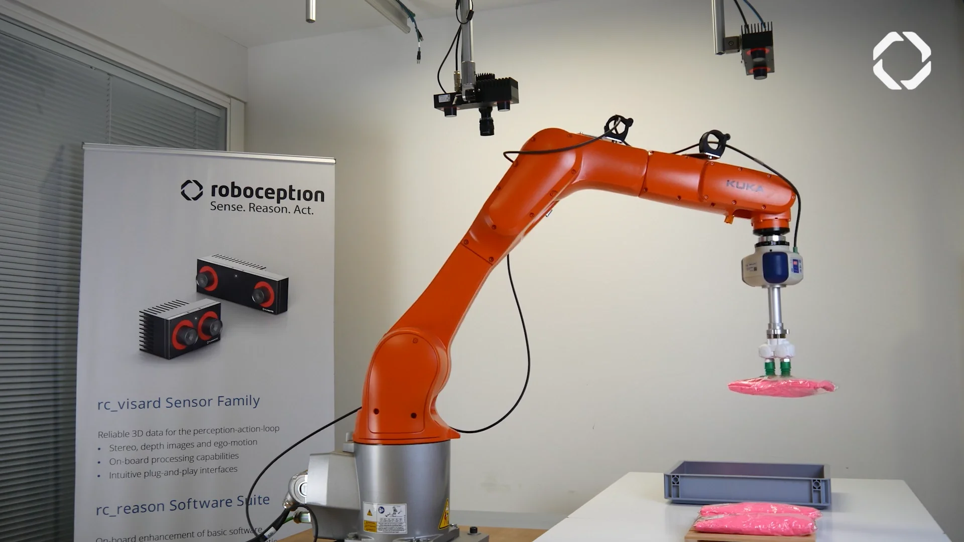 Pick-and-Place Flexible Objects with rc_reason ItemPickAI