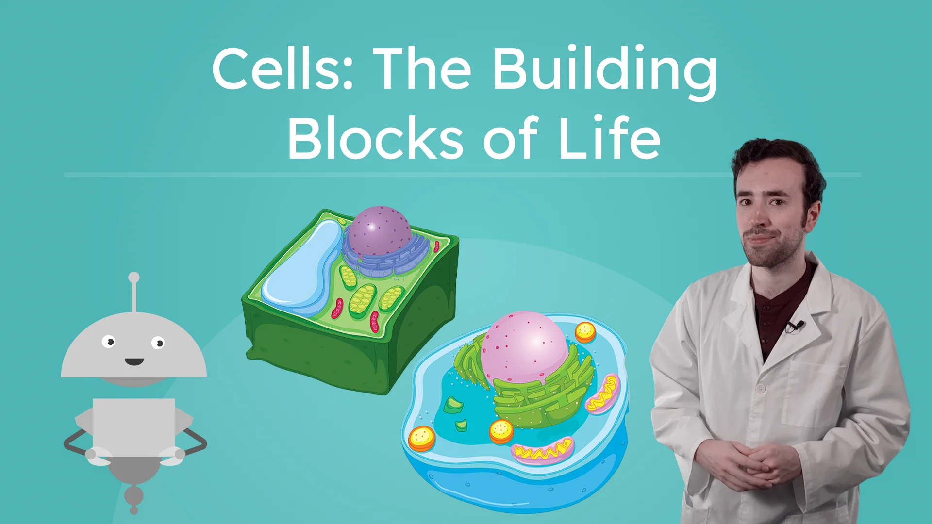 Cells: The Building Blocks of Life