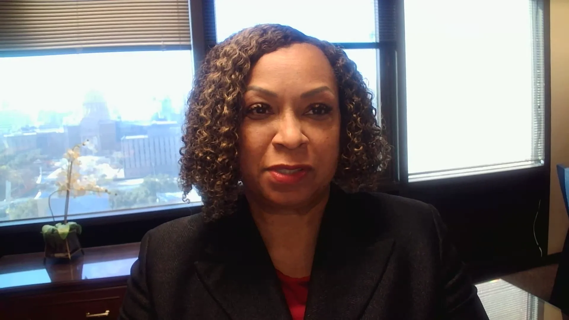 Meet Lena Wilson, MS, RD, SNS, Your Candidate for Director