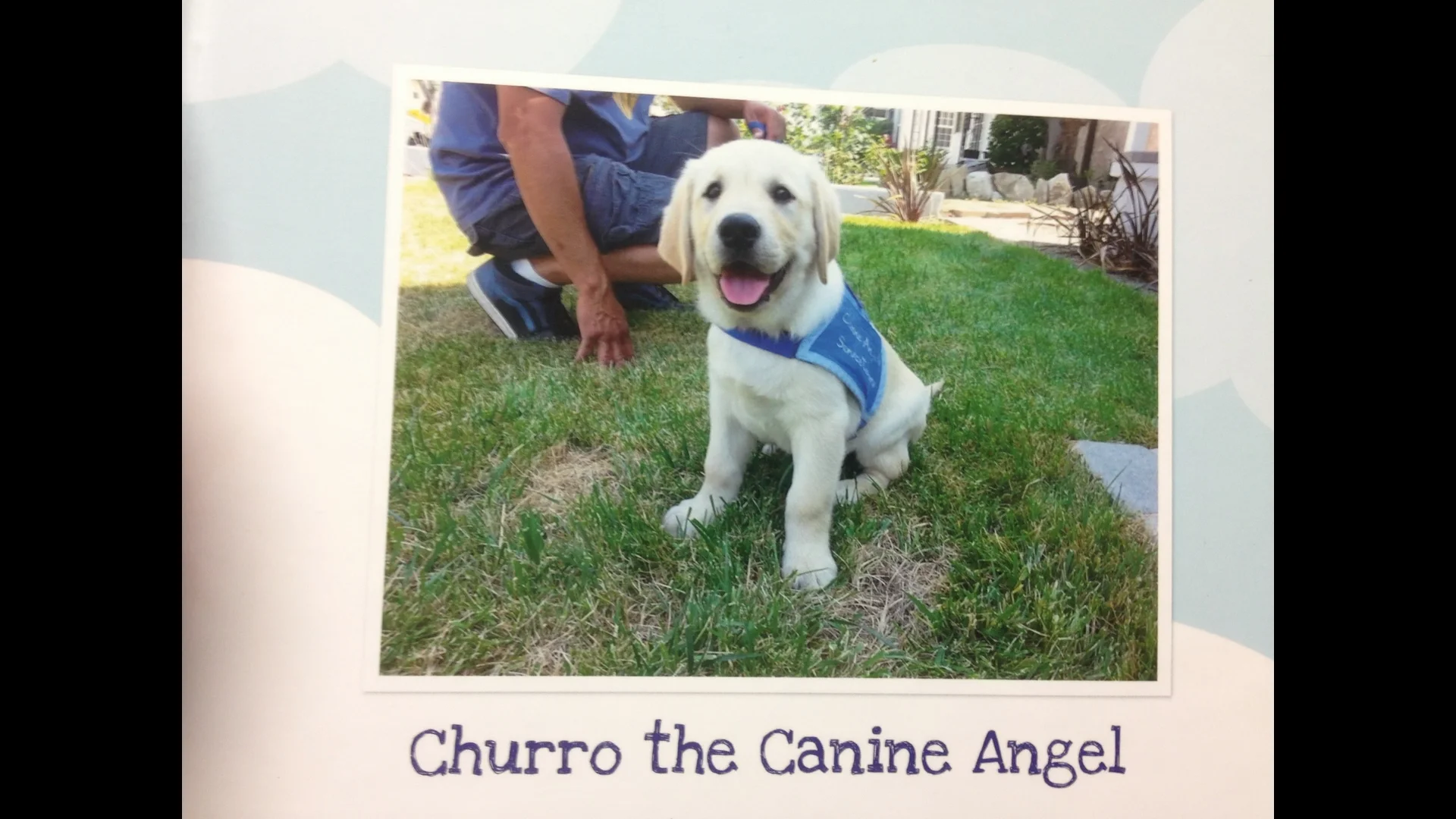 Mike_Drennan-CanineAngel