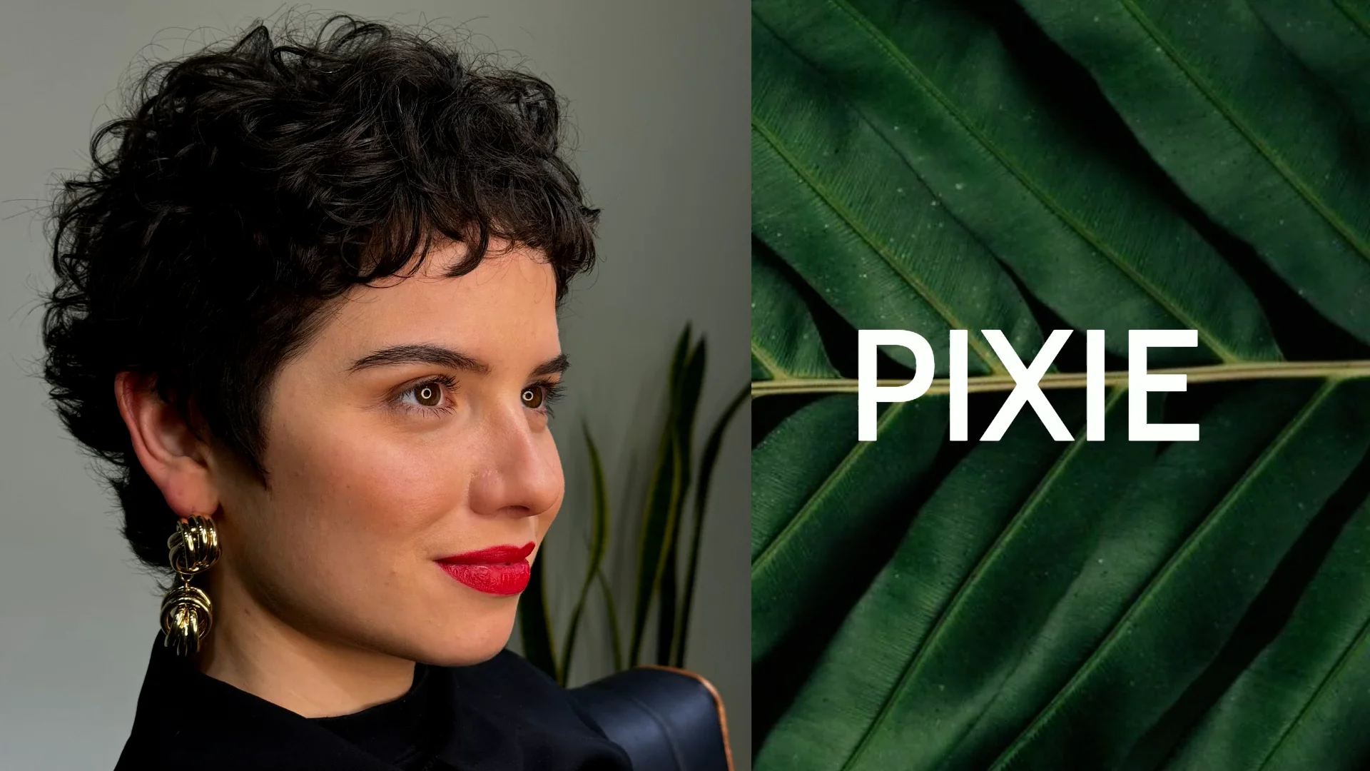 pixie parte 1-highlight
