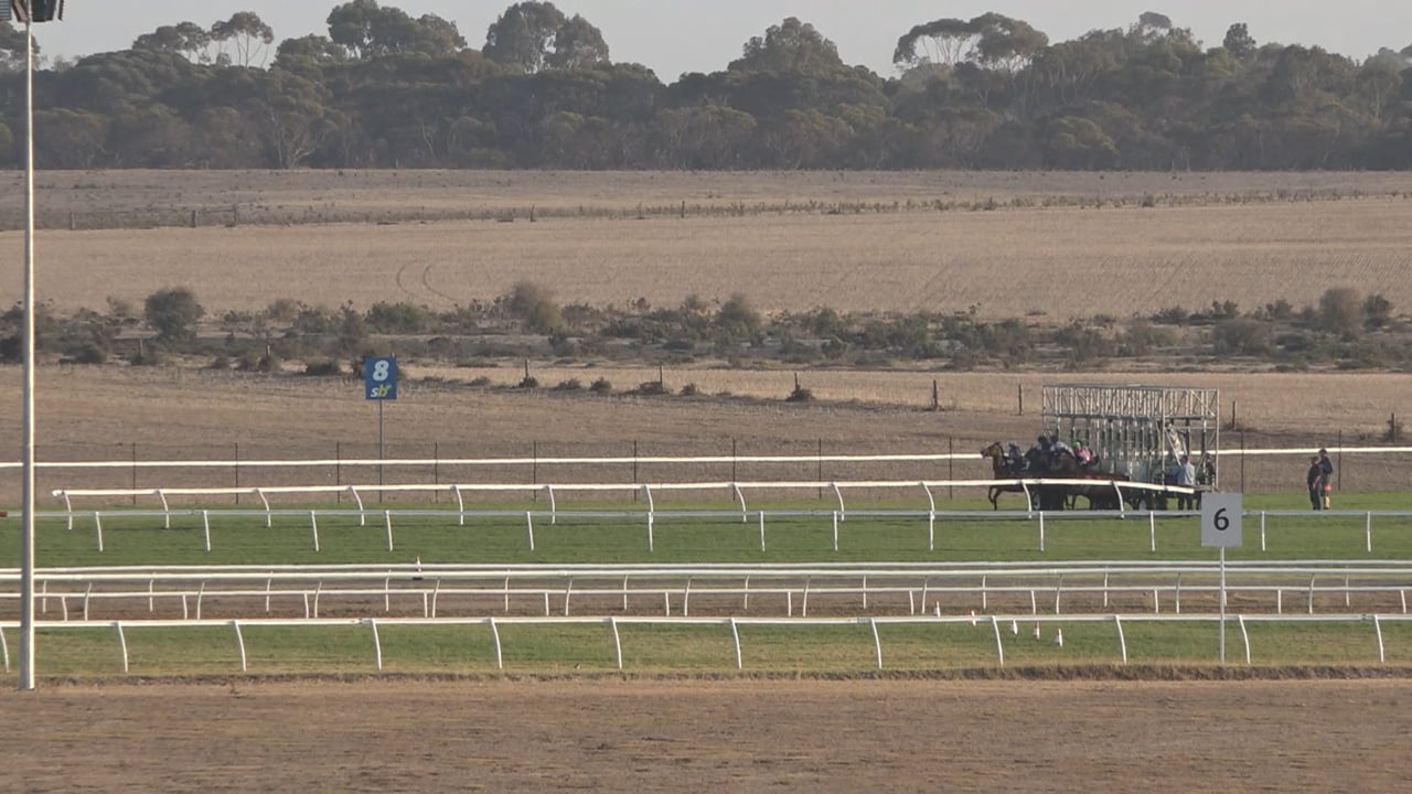 06/02/25 Murray Bridge • Racing SA