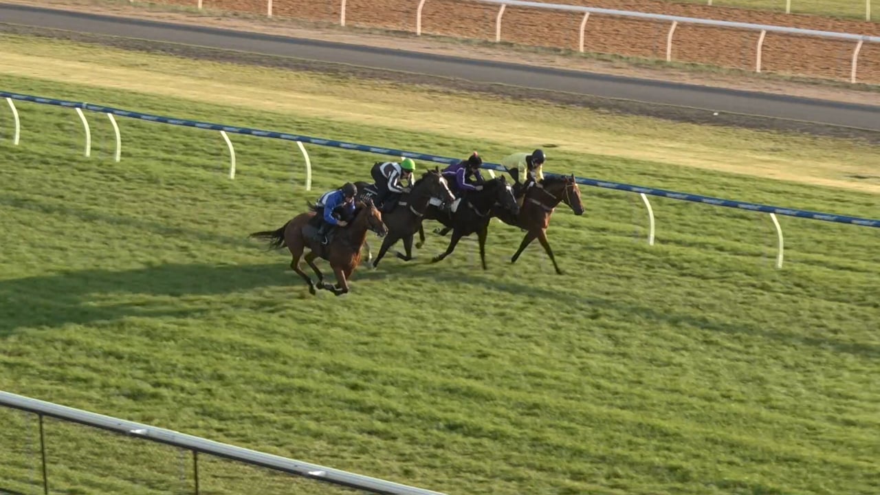 06/02/25 Murray Bridge • Racing SA