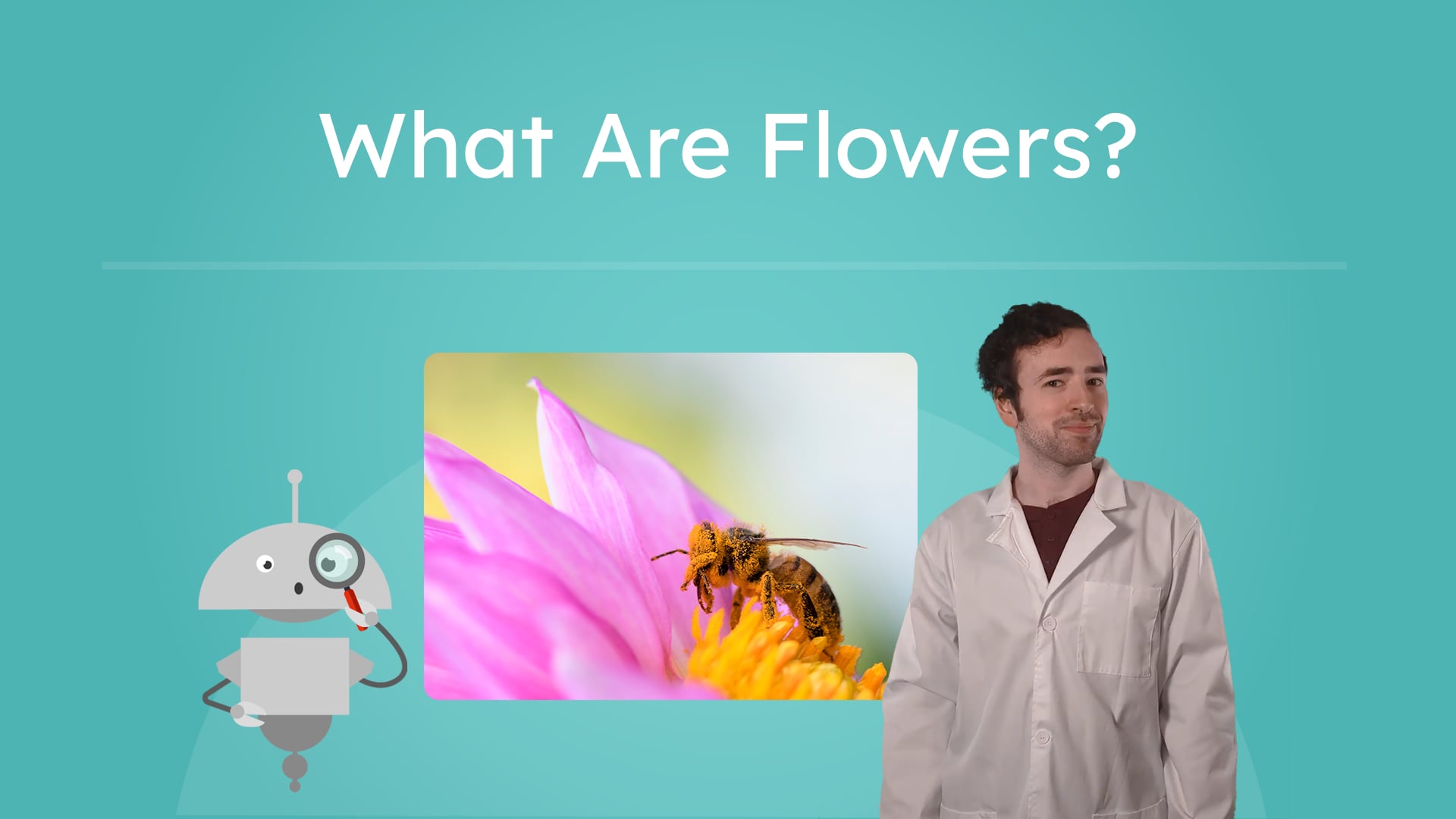 What Are Flowers? | Videos & Movies on Vimeo
