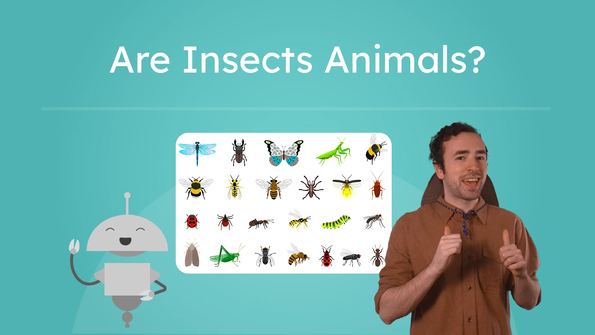 Are Insects Animals?