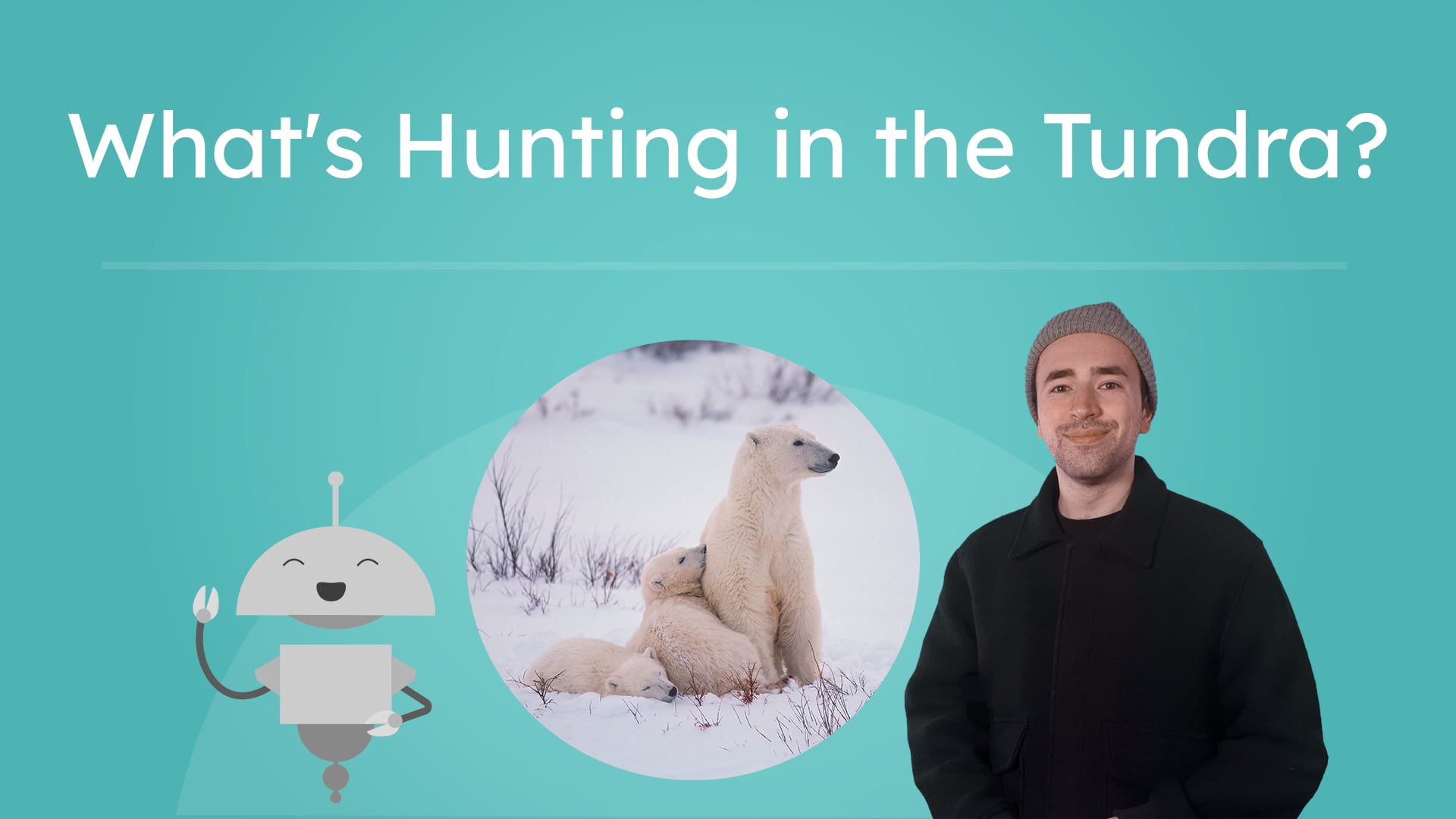 What's Hunting in the Tundra? | Videos & Movies on Vimeo