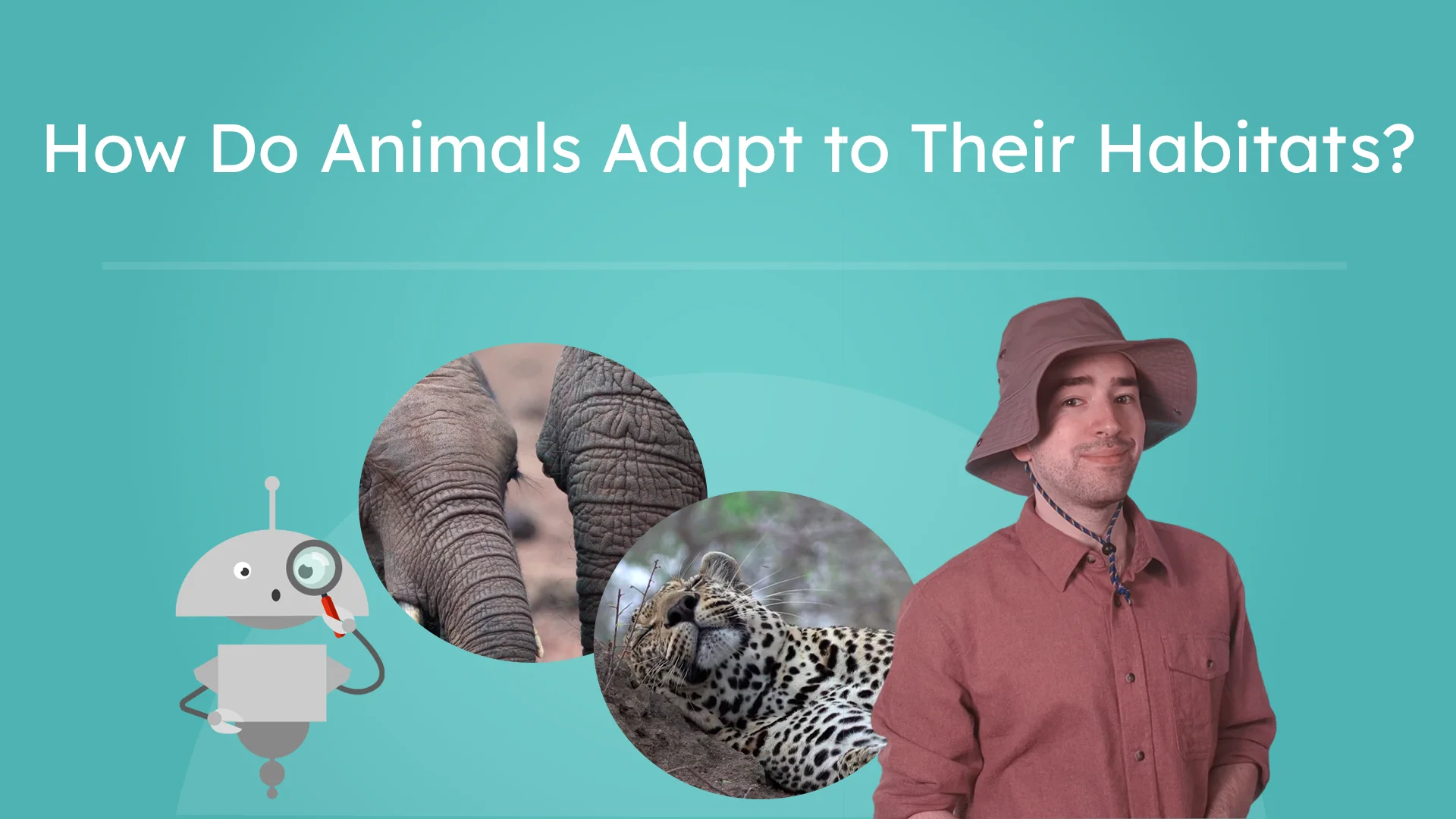How Do Animals Adapt to Their Habitats?