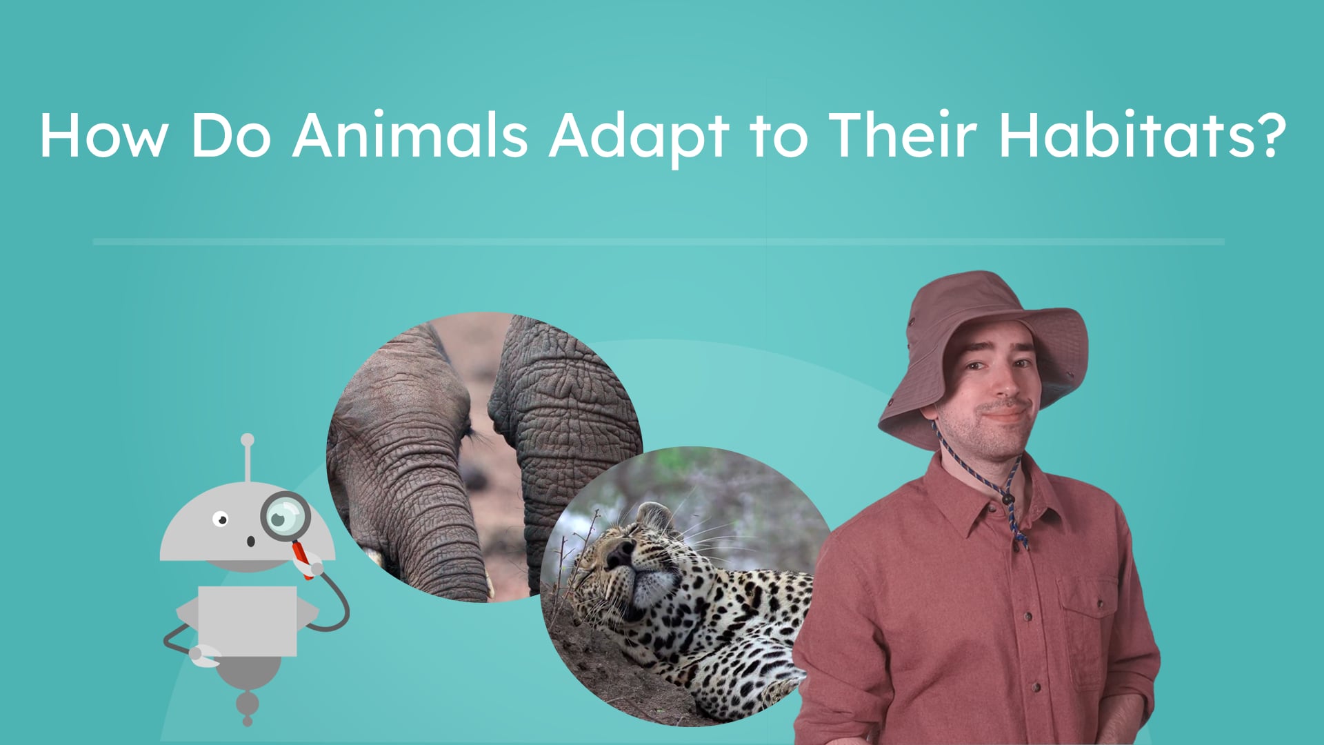 How Do Animals Adapt to Their Habitats?