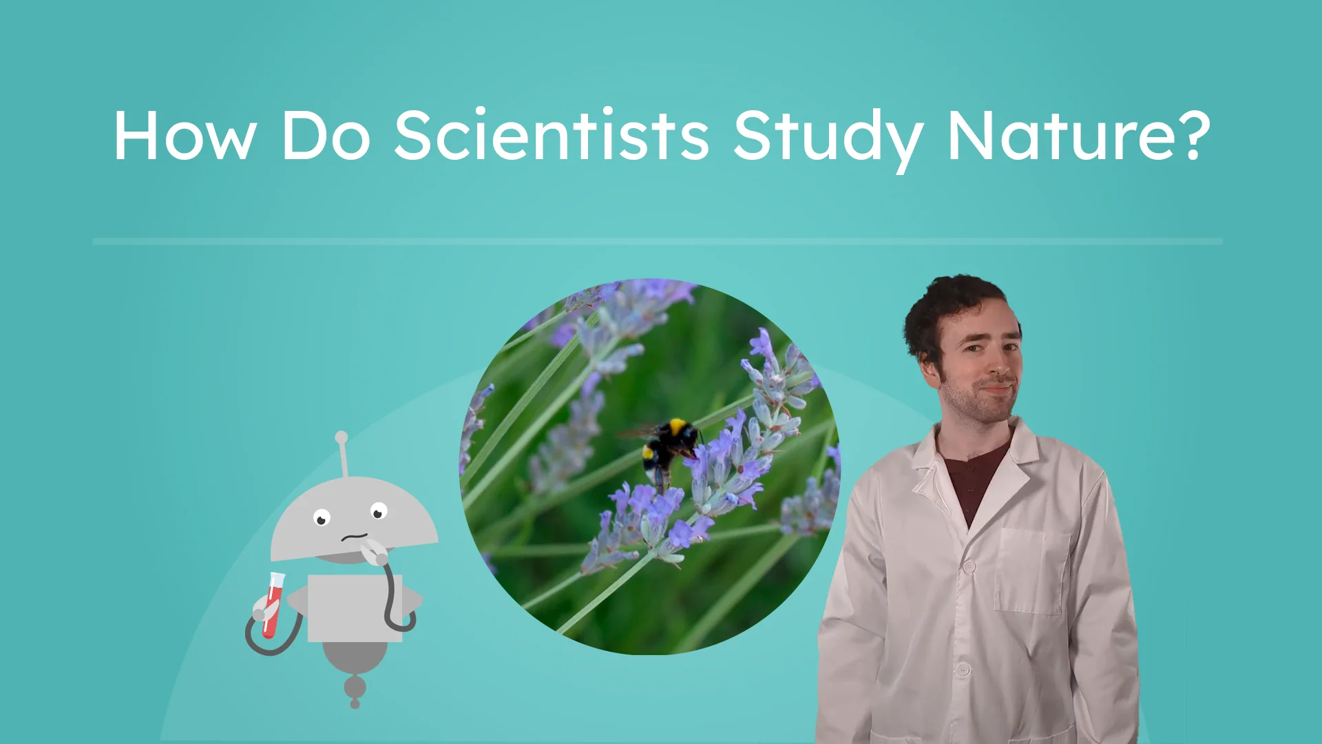 How Do Scientists Study Nature?