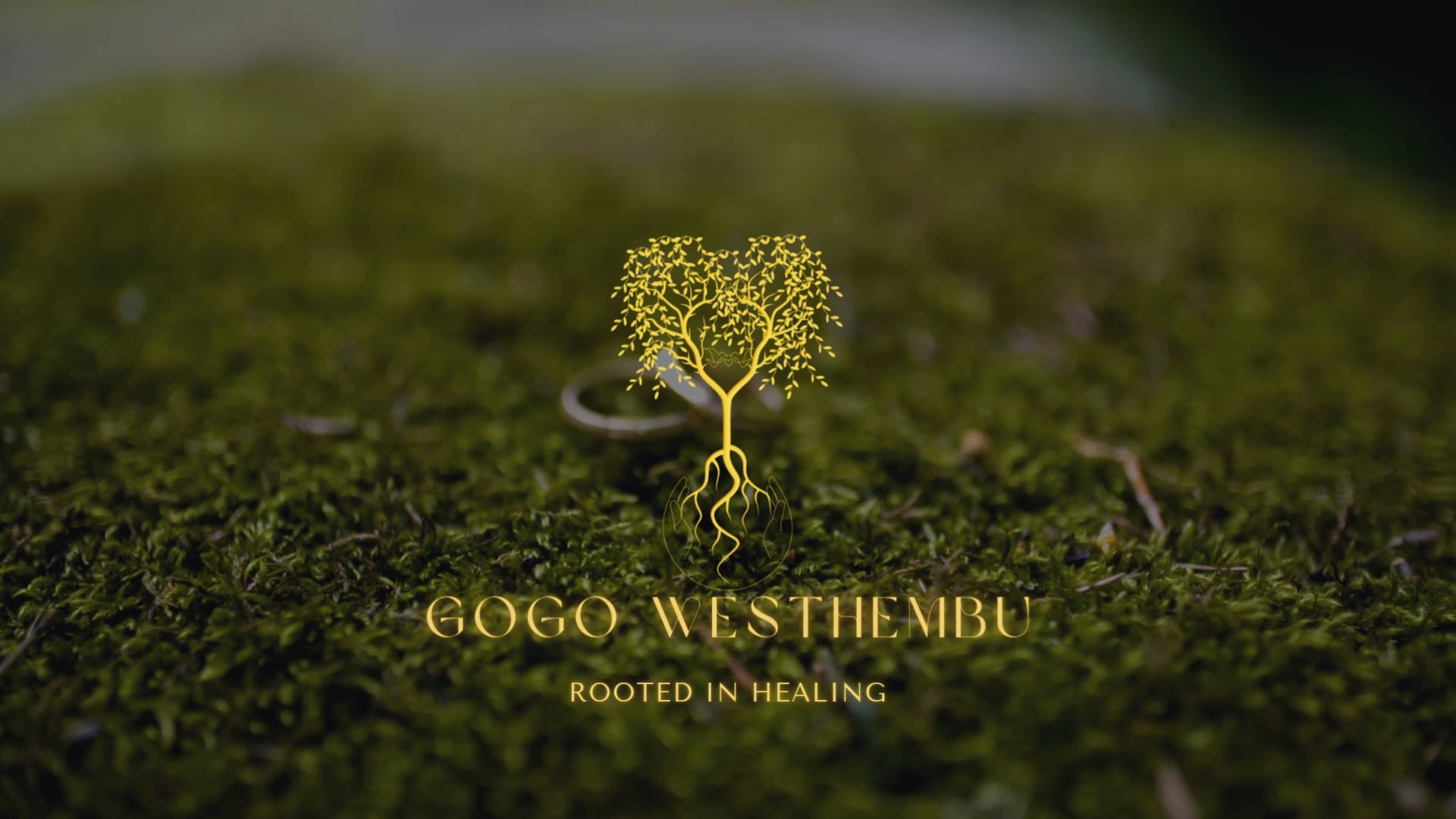 Expert Polygamy Isithembu Counselling Services