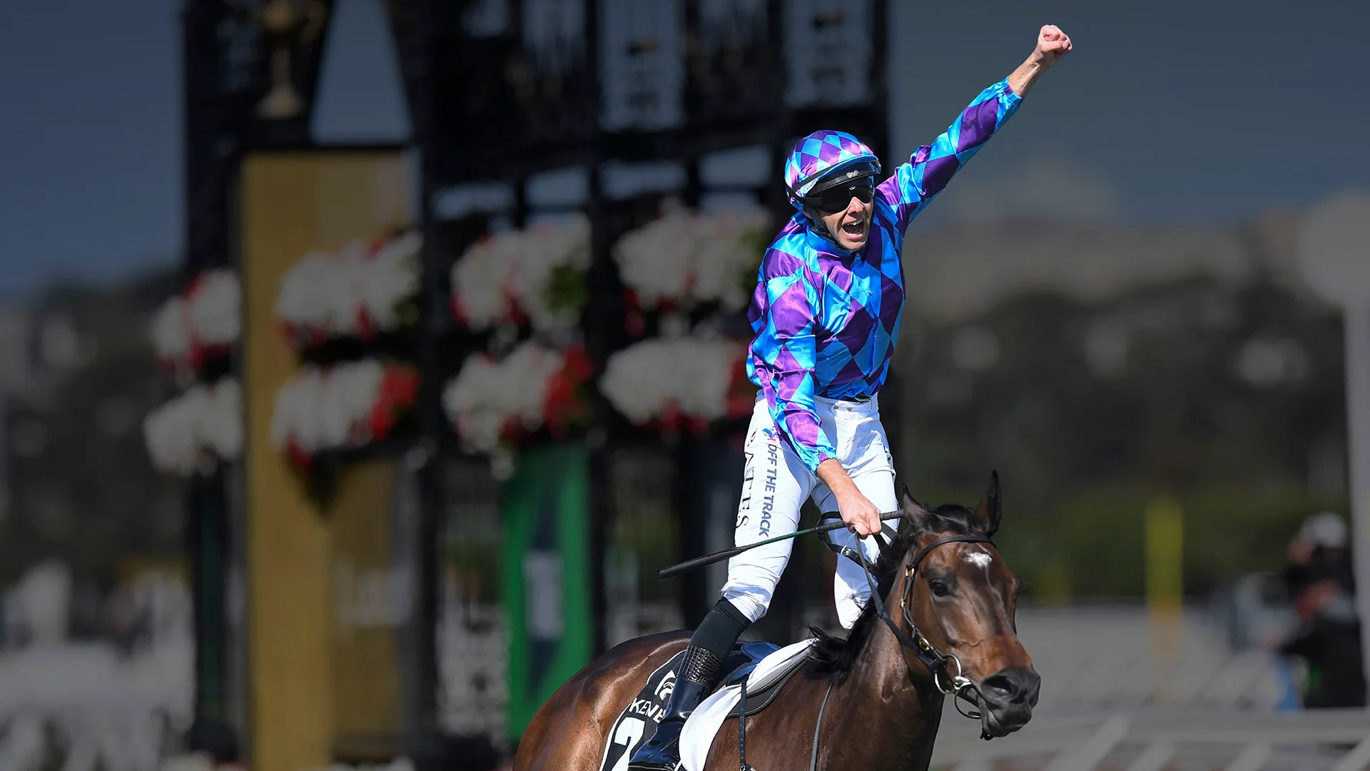 2025 Inglis Classic Yearling Sale