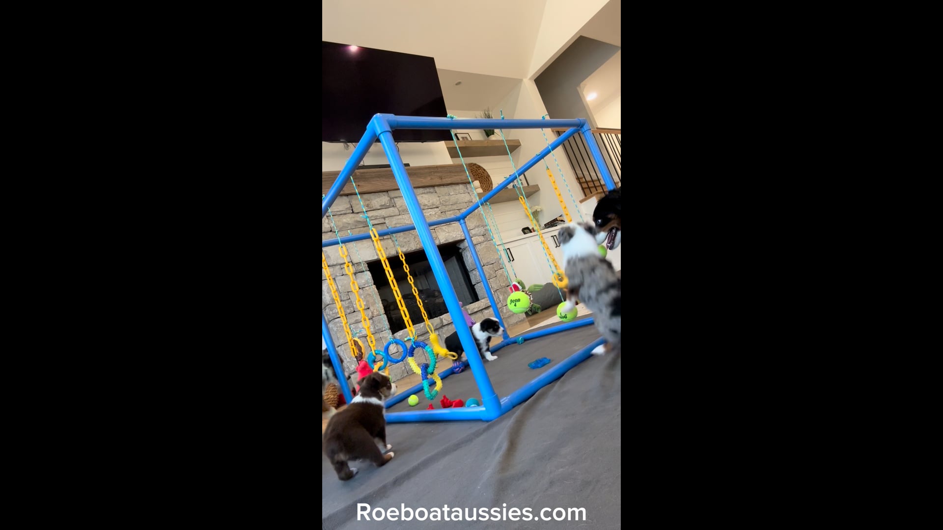 Home [roeboataussies.com]