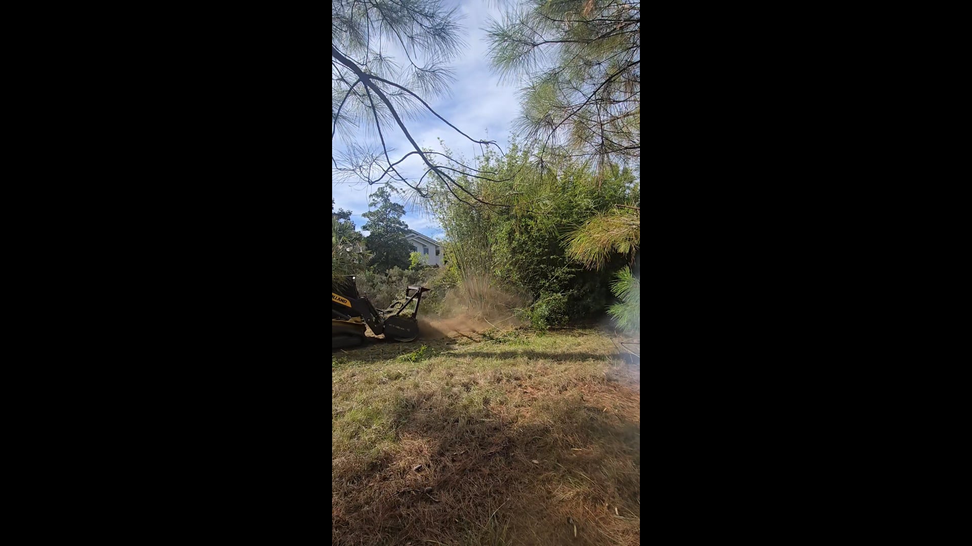 Palmetto Mulching and Clearing
