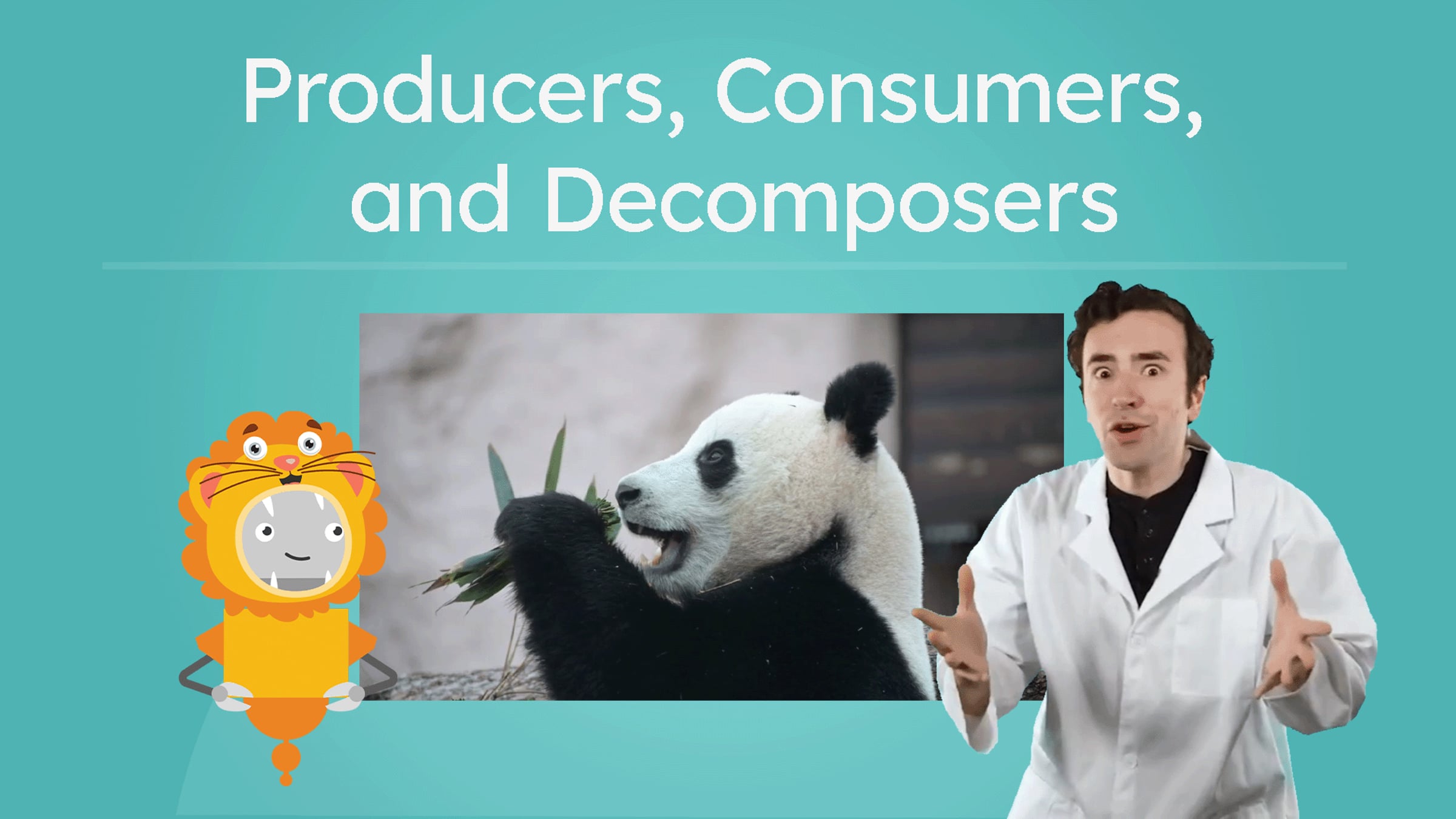 Producers, Consumers, and Decomposers