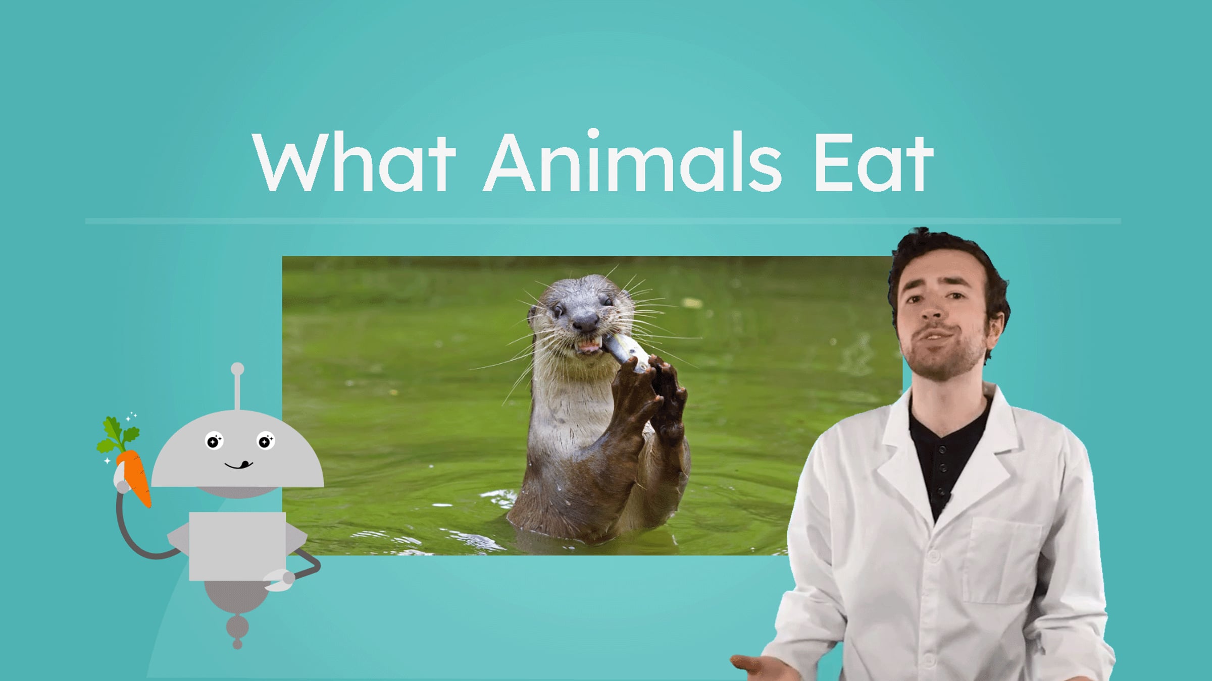 What Animals Eat
