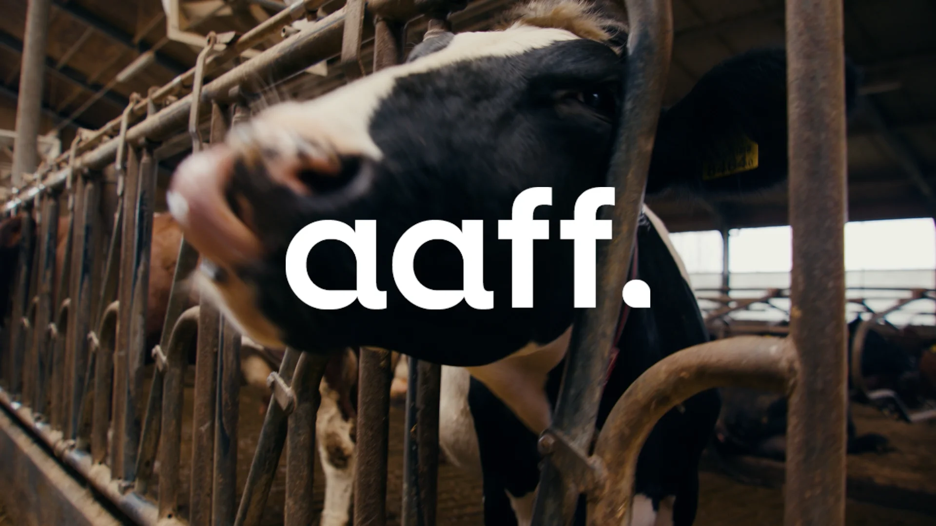 AAF BOEDERIJ 45 sec 02 V3