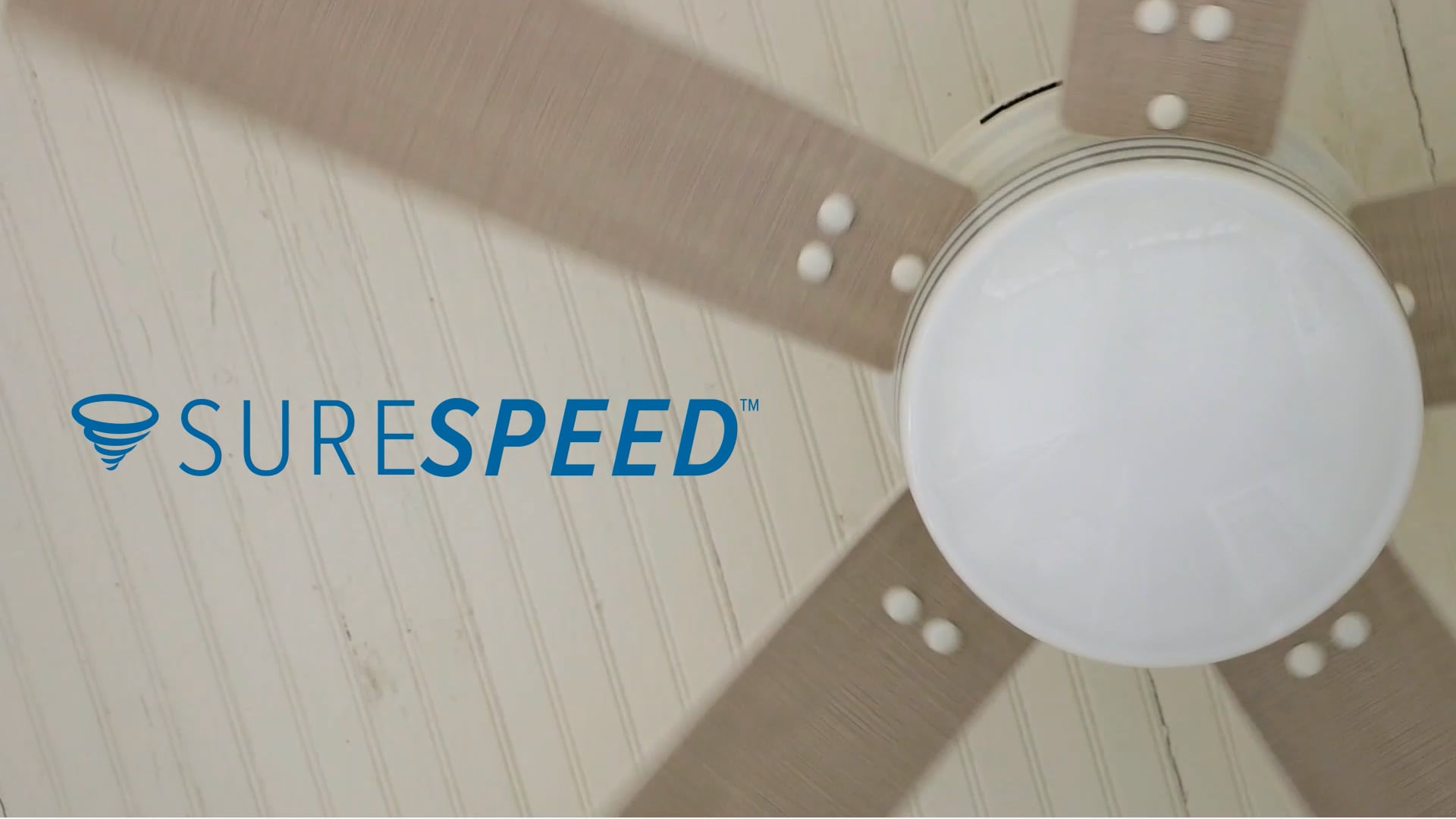 Hunter 72" Overton Damp Rated Ceiling Fan With LED Light - Transitional ...