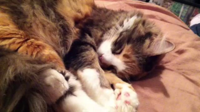 Lisa Stretch on Vimeo