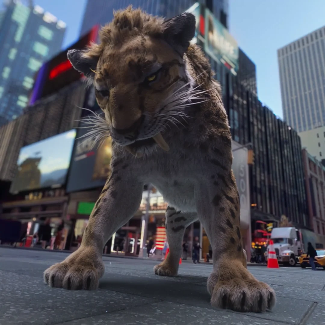 Netflix LOOP: Roaring into Reality