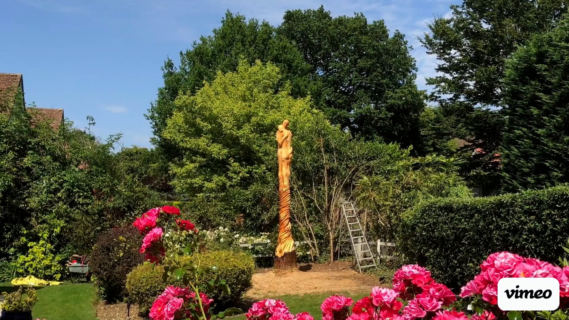 Unique Tree Stump Carving by Skilled Chainsaw Carver