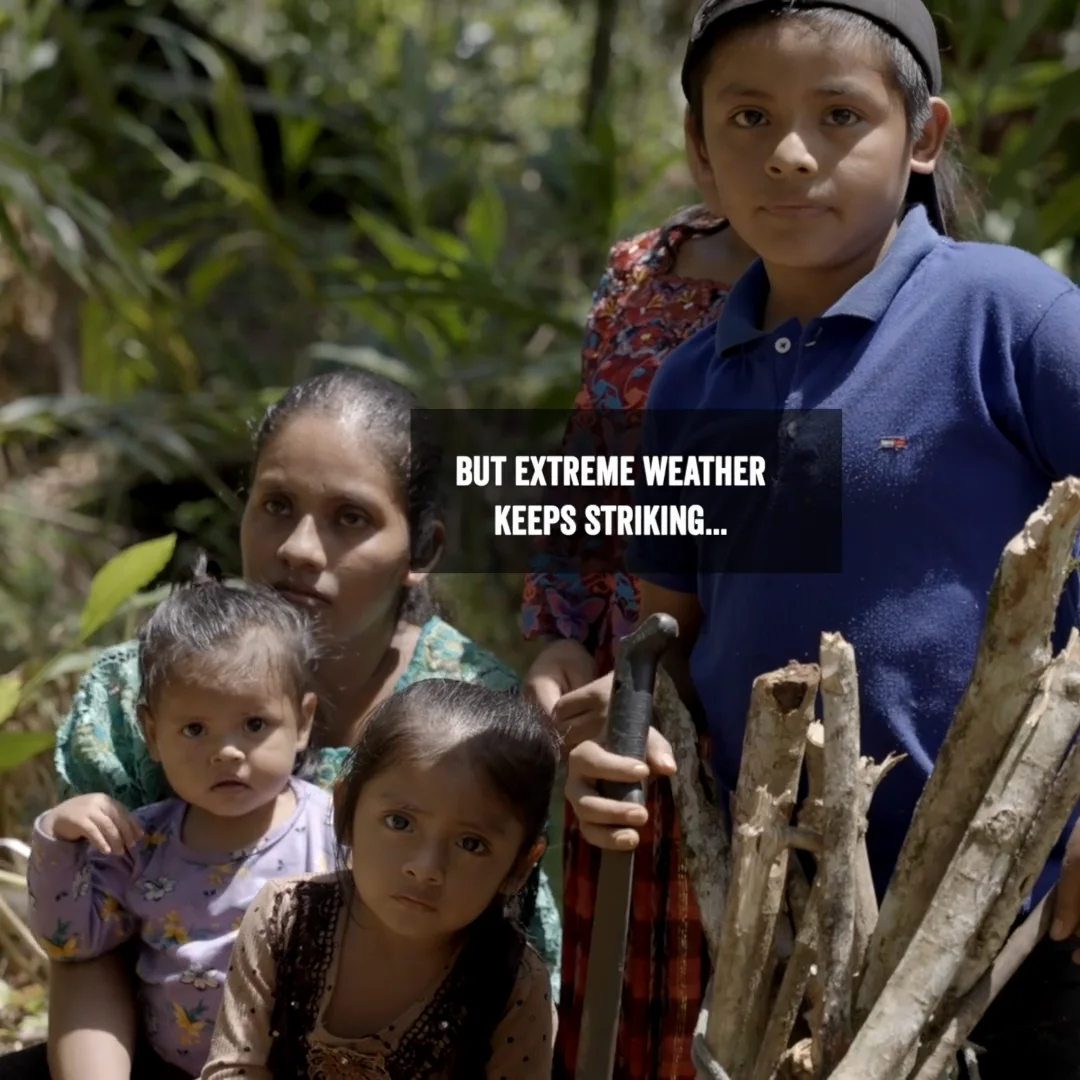 Meet the Family on the 2025 Trocaire Box