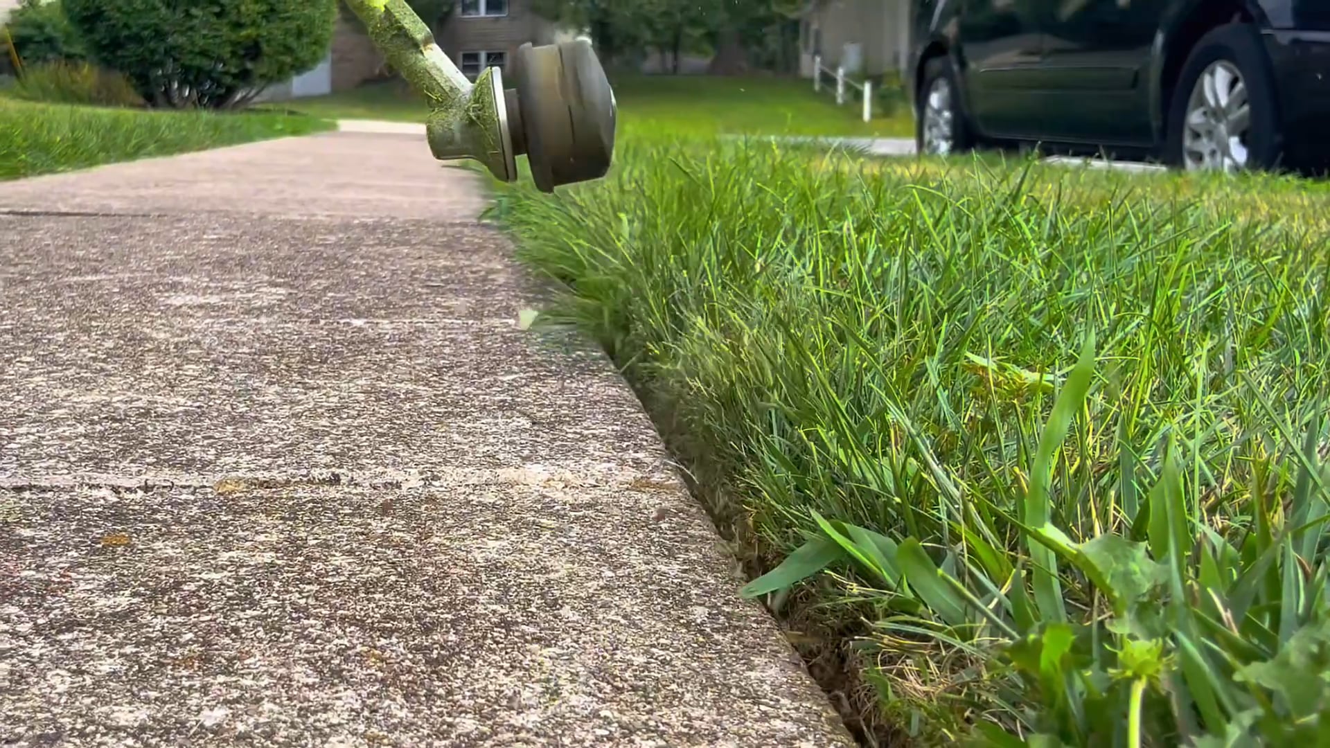 Lawn Care Service Lexington