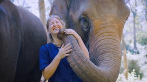 Volunteer with Elephants