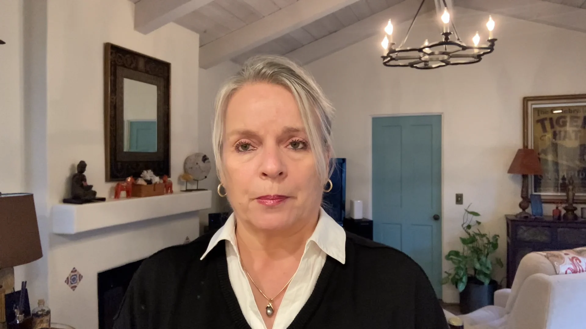 Debora's Takeaways from her C.A.R. Committee Meetings