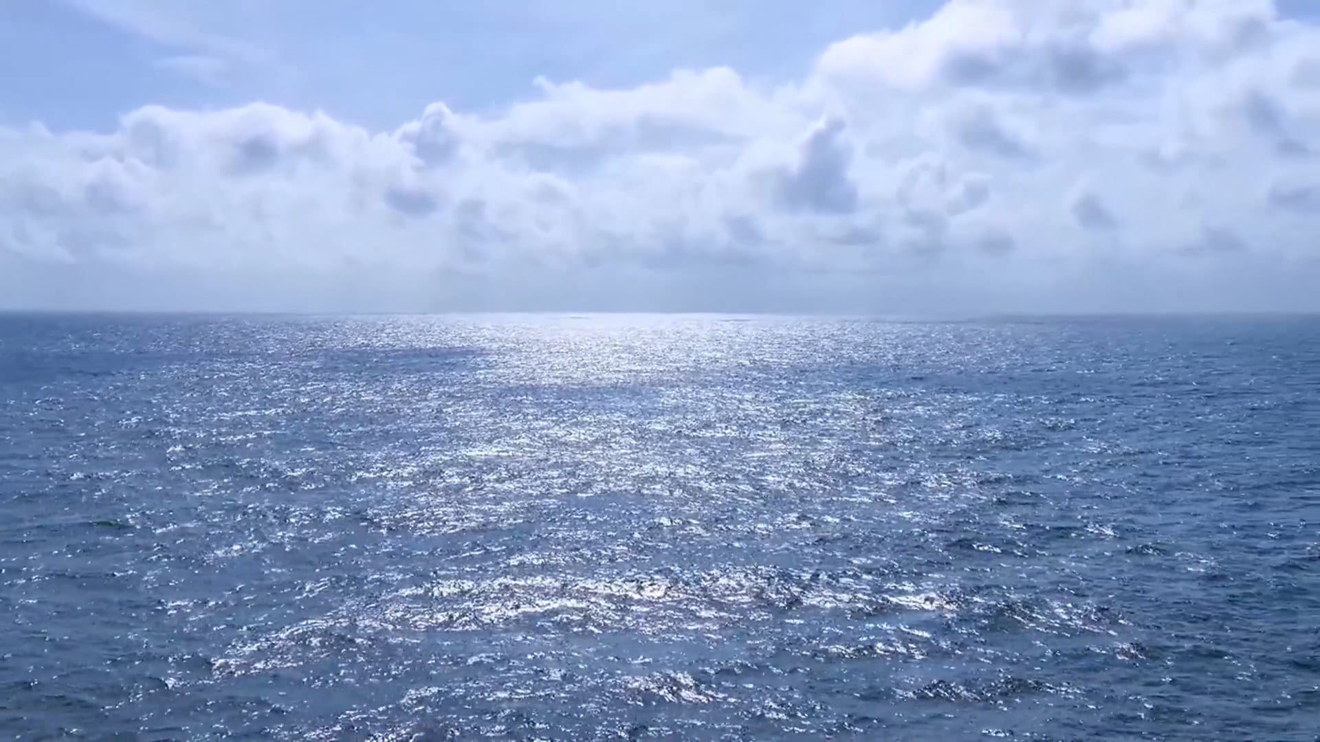 For One Ocean - Research Adventure Exploration