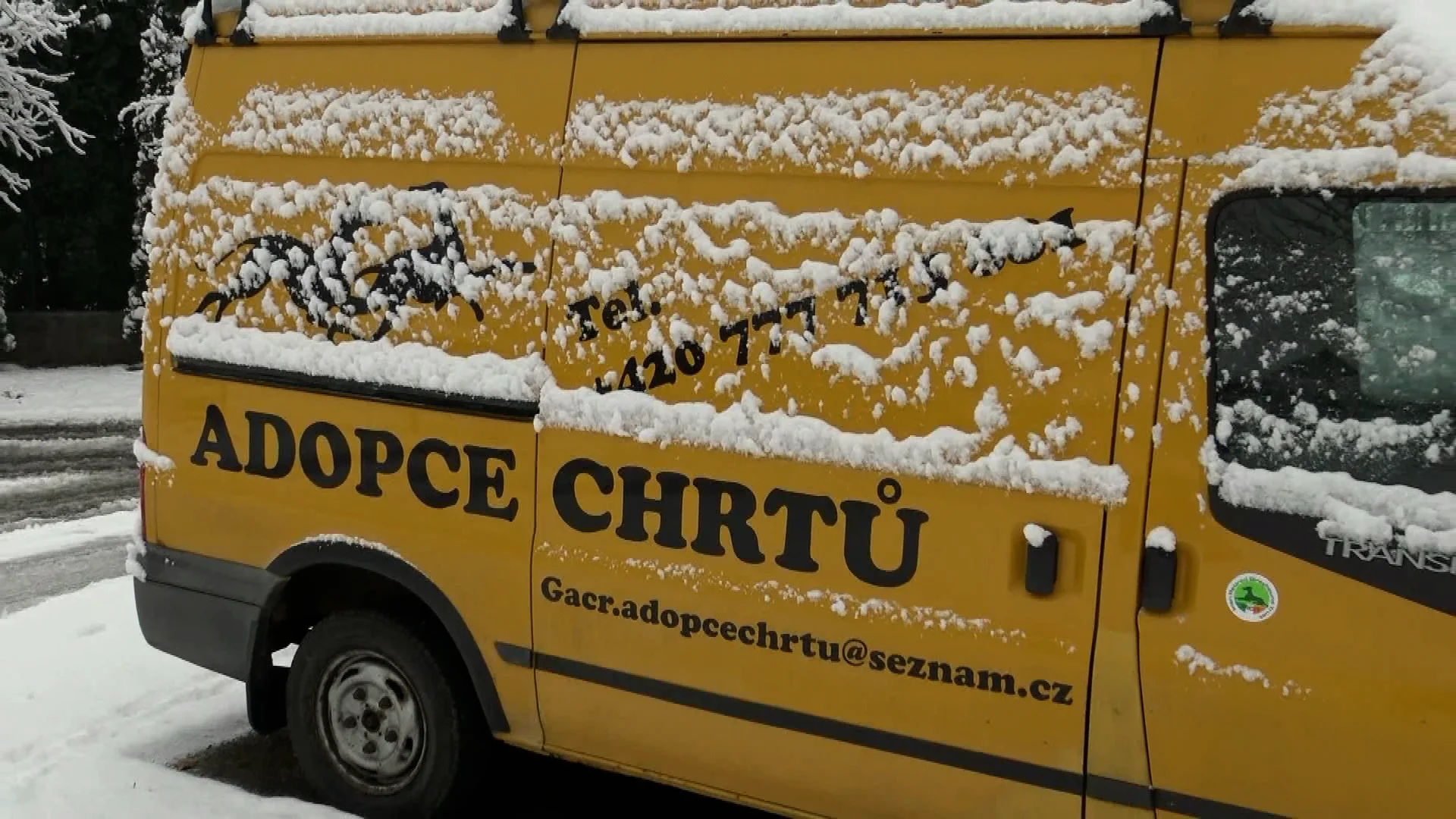 Transport 17 Galgos Espaňa