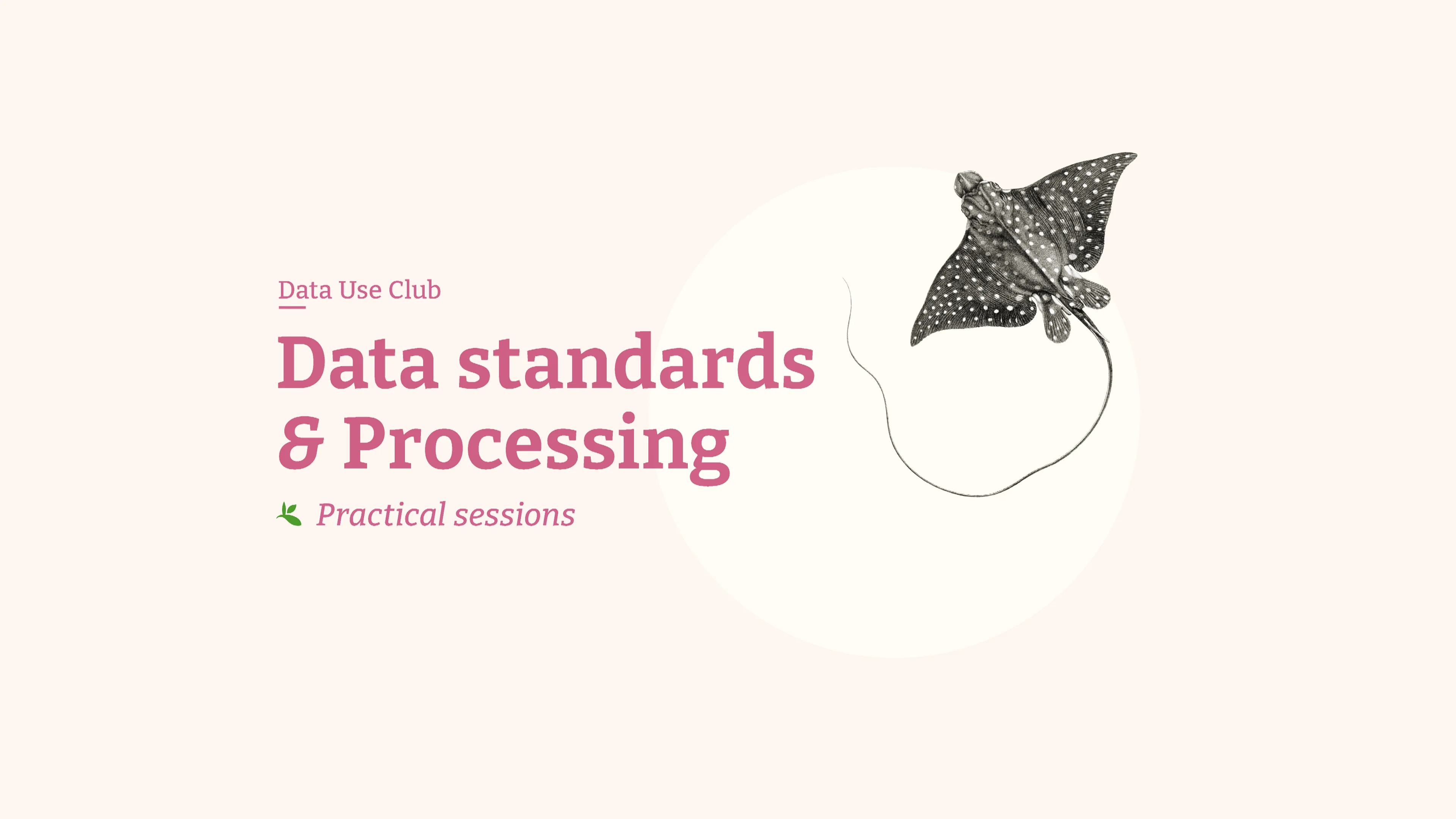 Data Use Club Practical Sessions: Data standards & processing