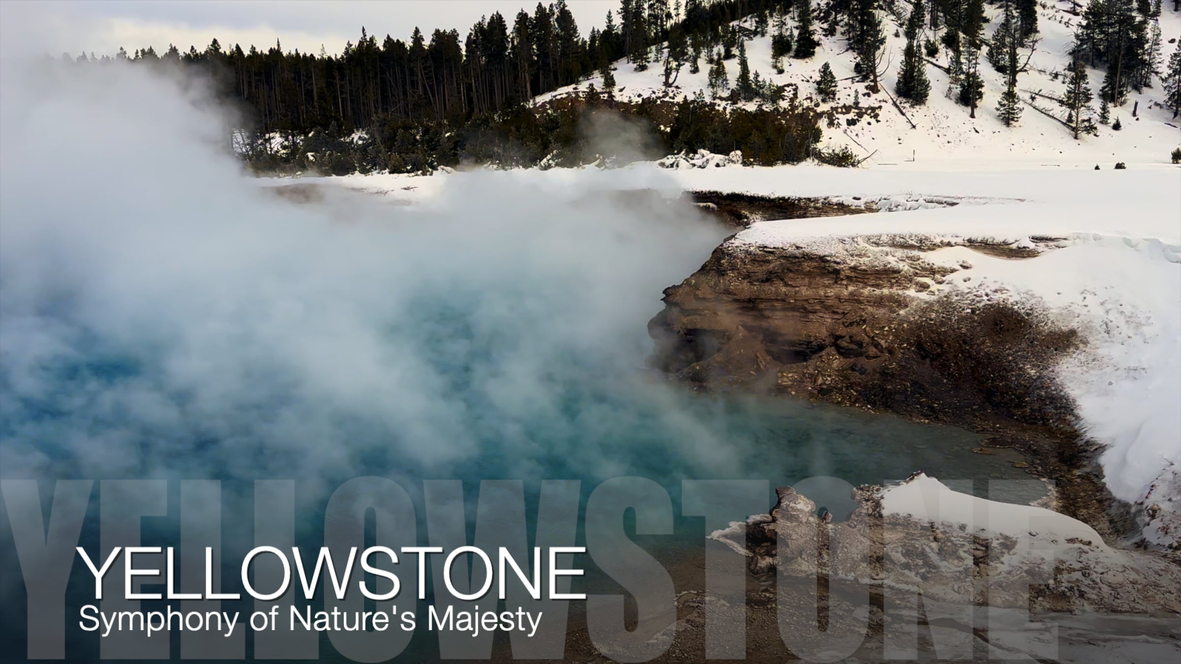 Yellowstone 2025