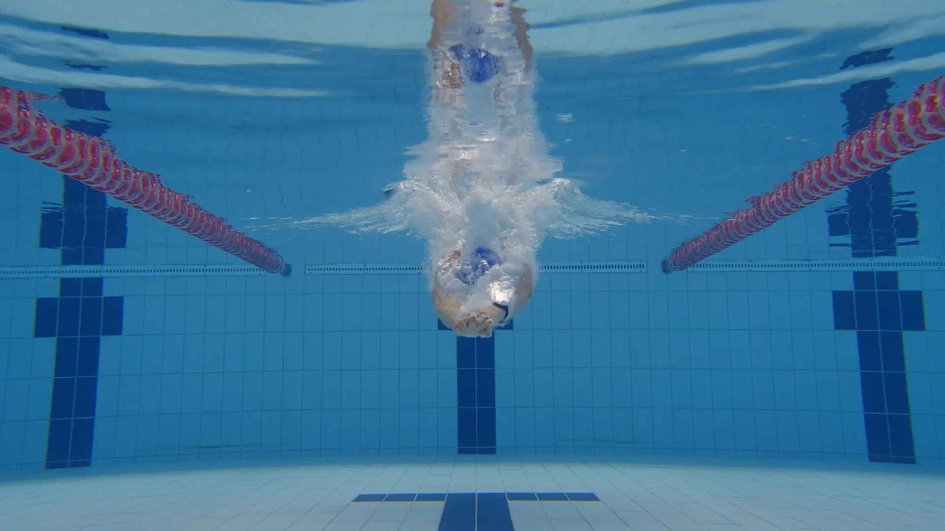 Laps for Life || Swim for Mental Health